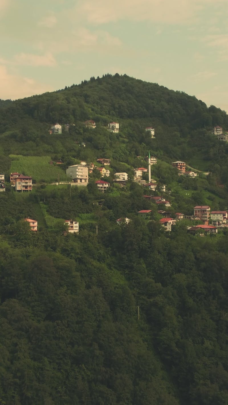 Omegle+Captures+Gallery Videos, Download The BEST Free 4k Stock Video ...