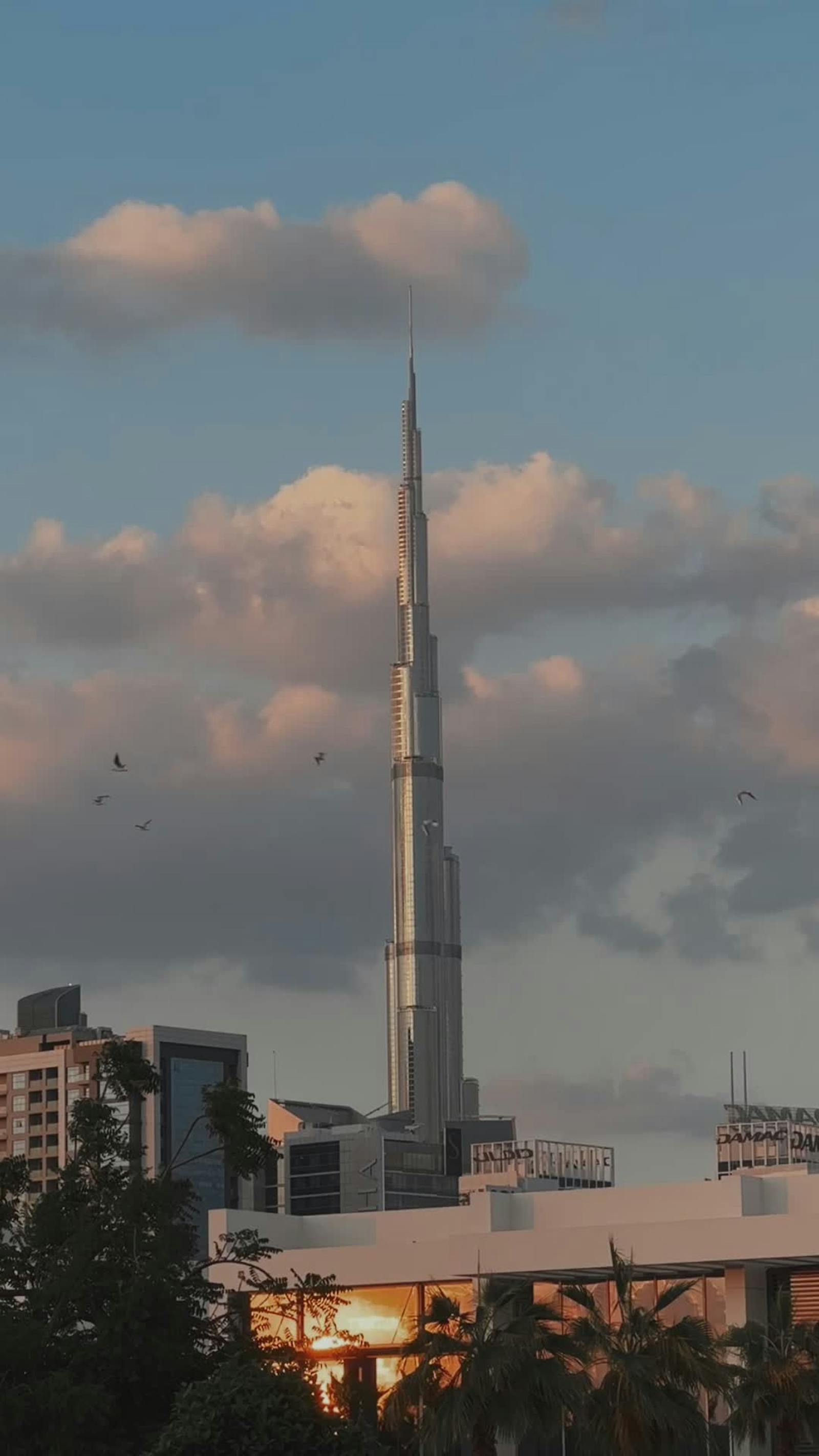 Jony+Since+And+Miya+Khalifa Videos, Download The BEST Free 4k Stock ...