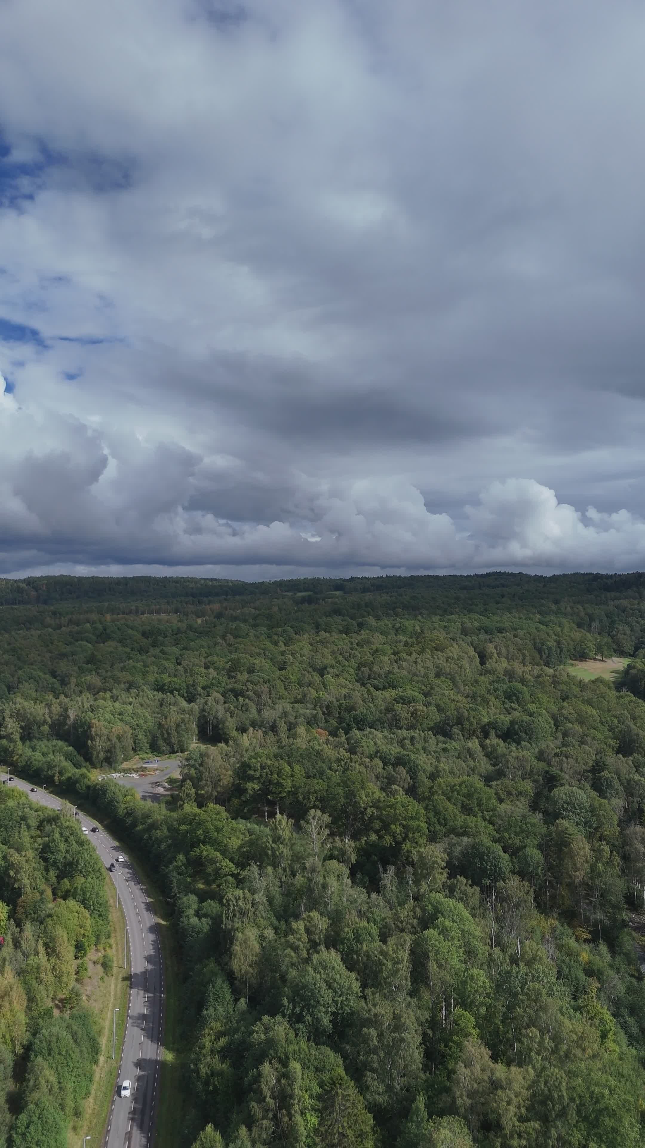 Breathtaking Aerial View of Swedish Forest Free Stock Video Footage ...