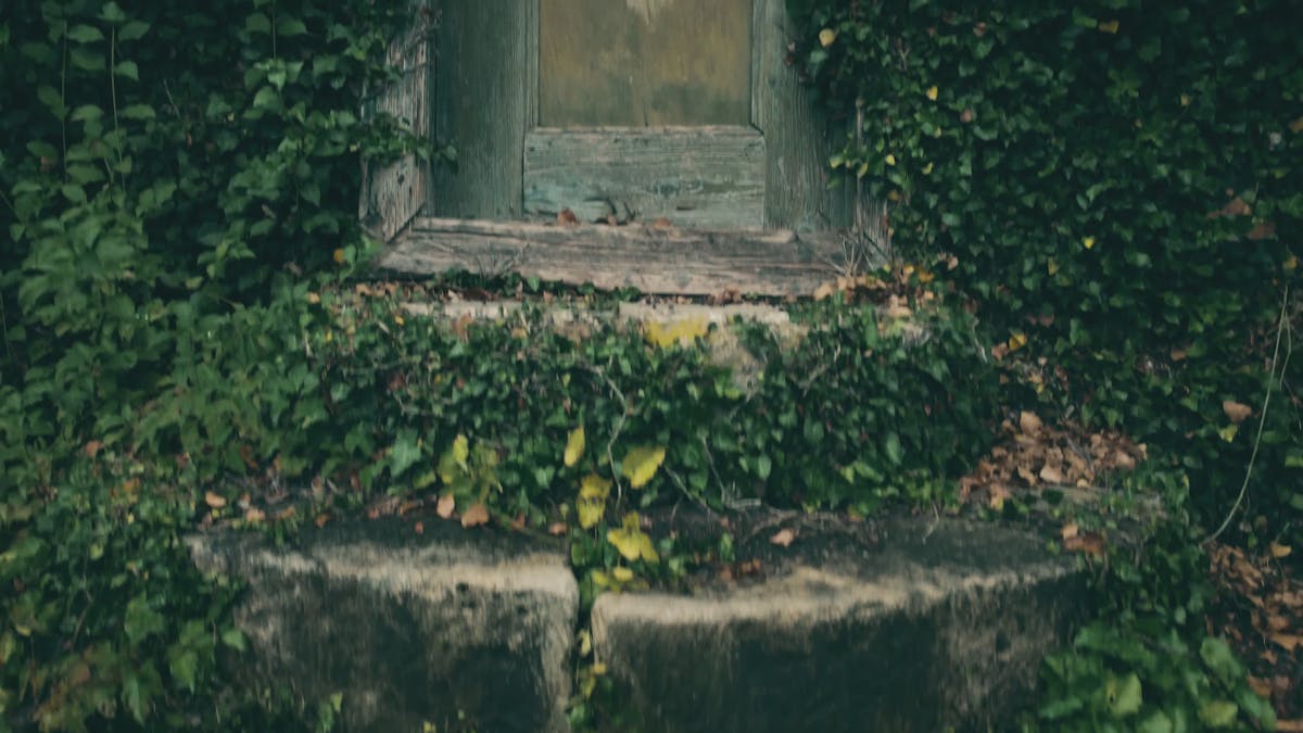 Secret+Handful+Free Videos, Download The BEST Free 4k Stock Video ...