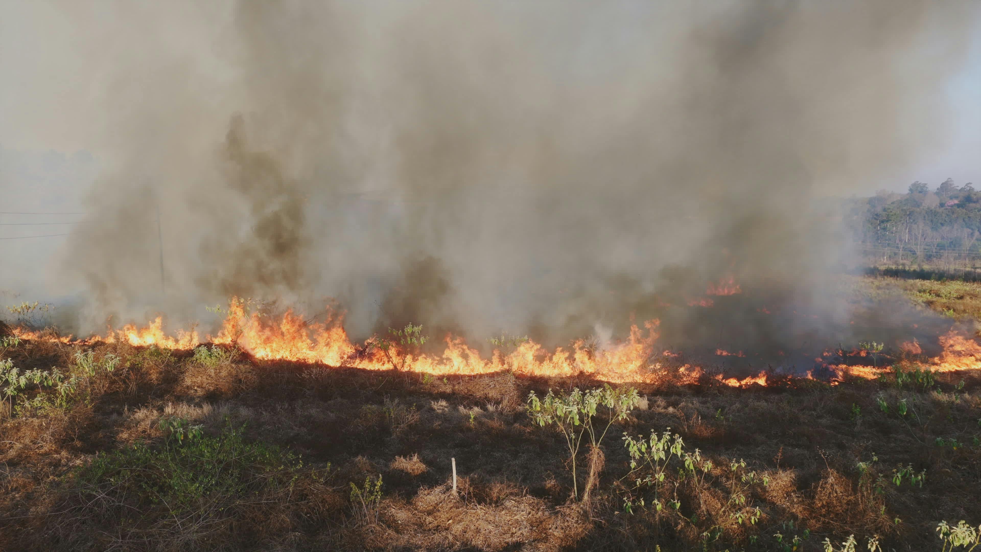 Aerial View of Farm Fire with Rising Smoke Free Stock Video Footage ...