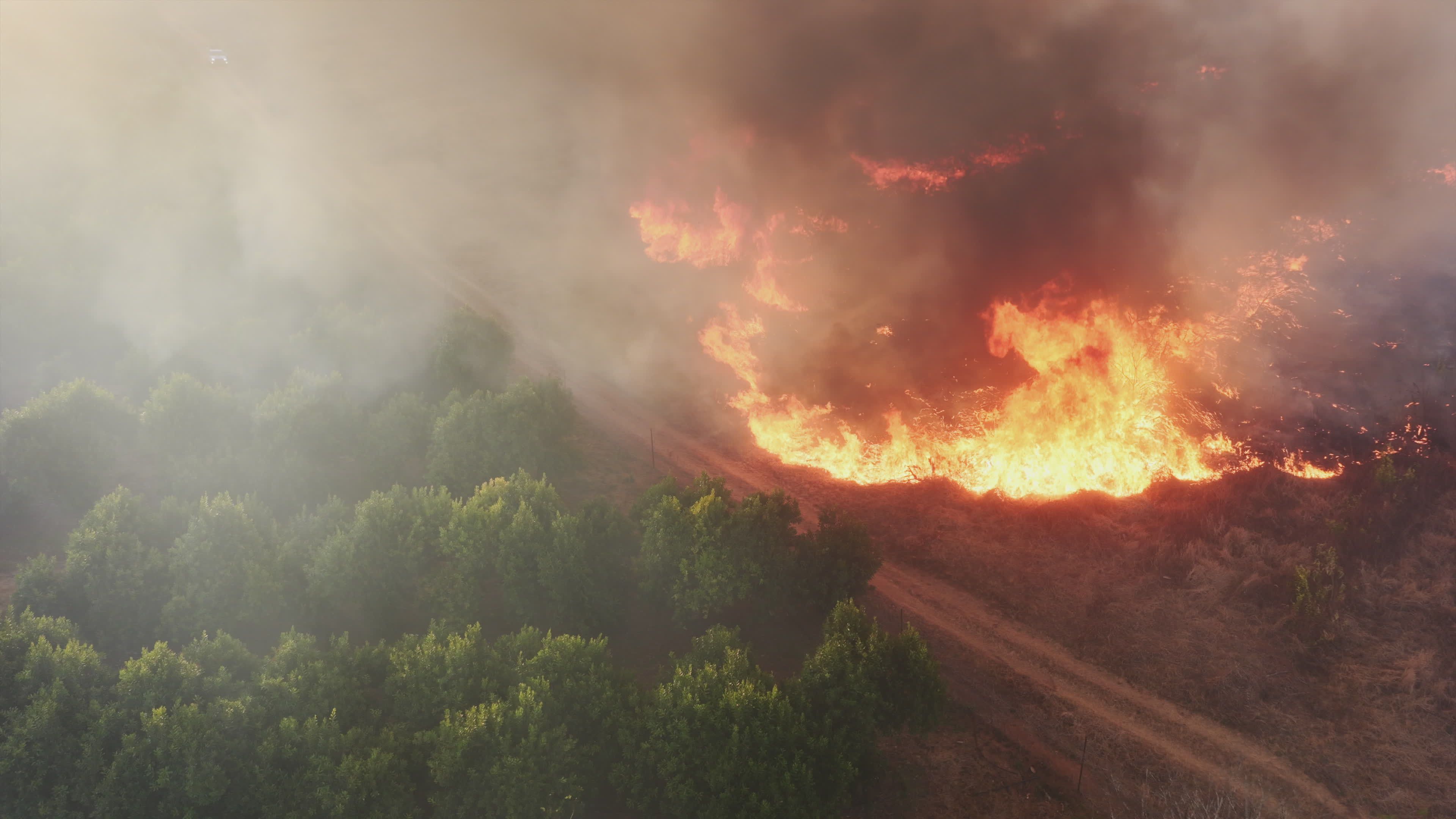 Dramatic Aerial View of Forest Fire in Africa Free Stock Video Footage ...