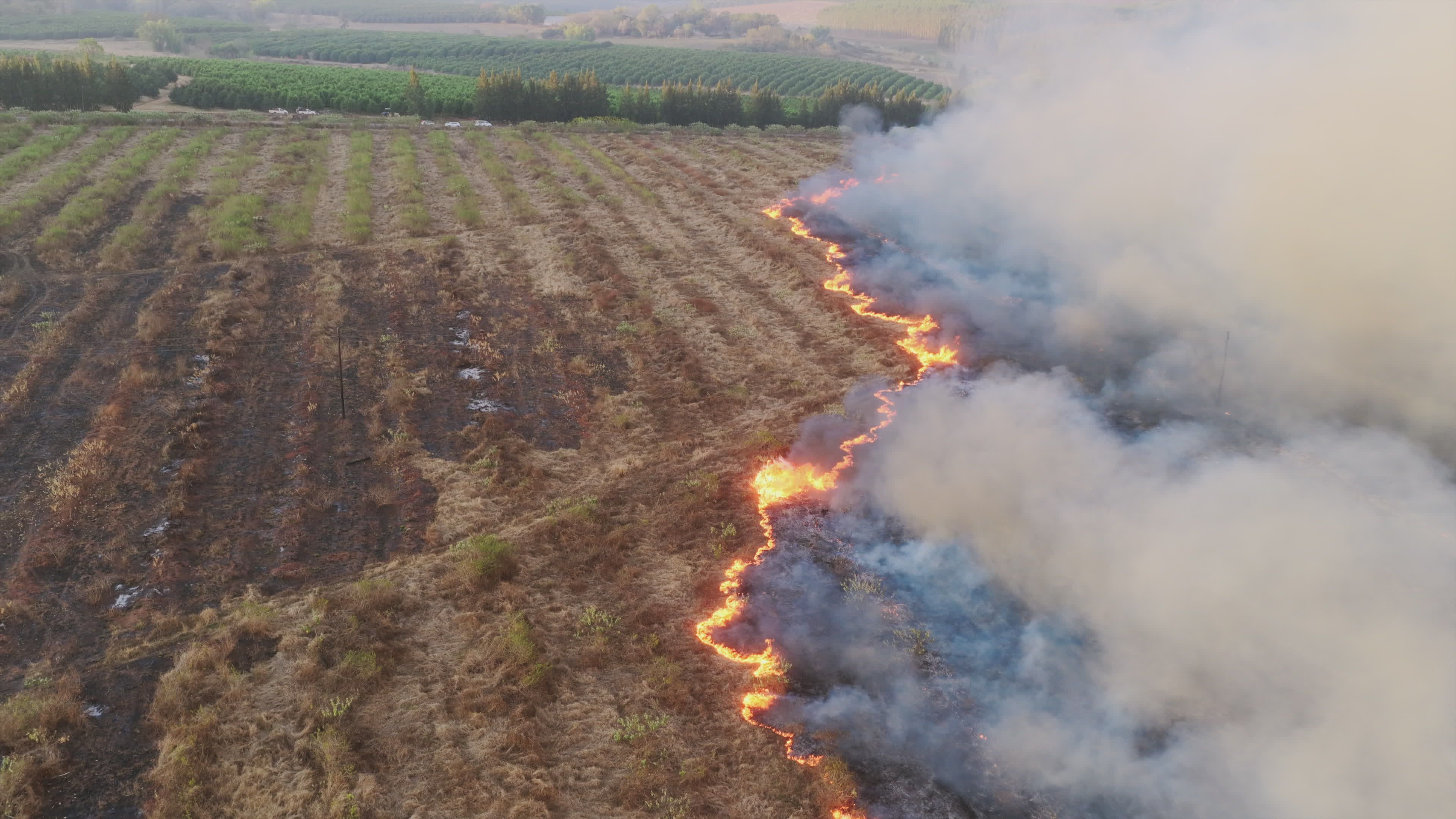 Aerial View of Grass Fire Burning in Open Field Free Stock Video ...
