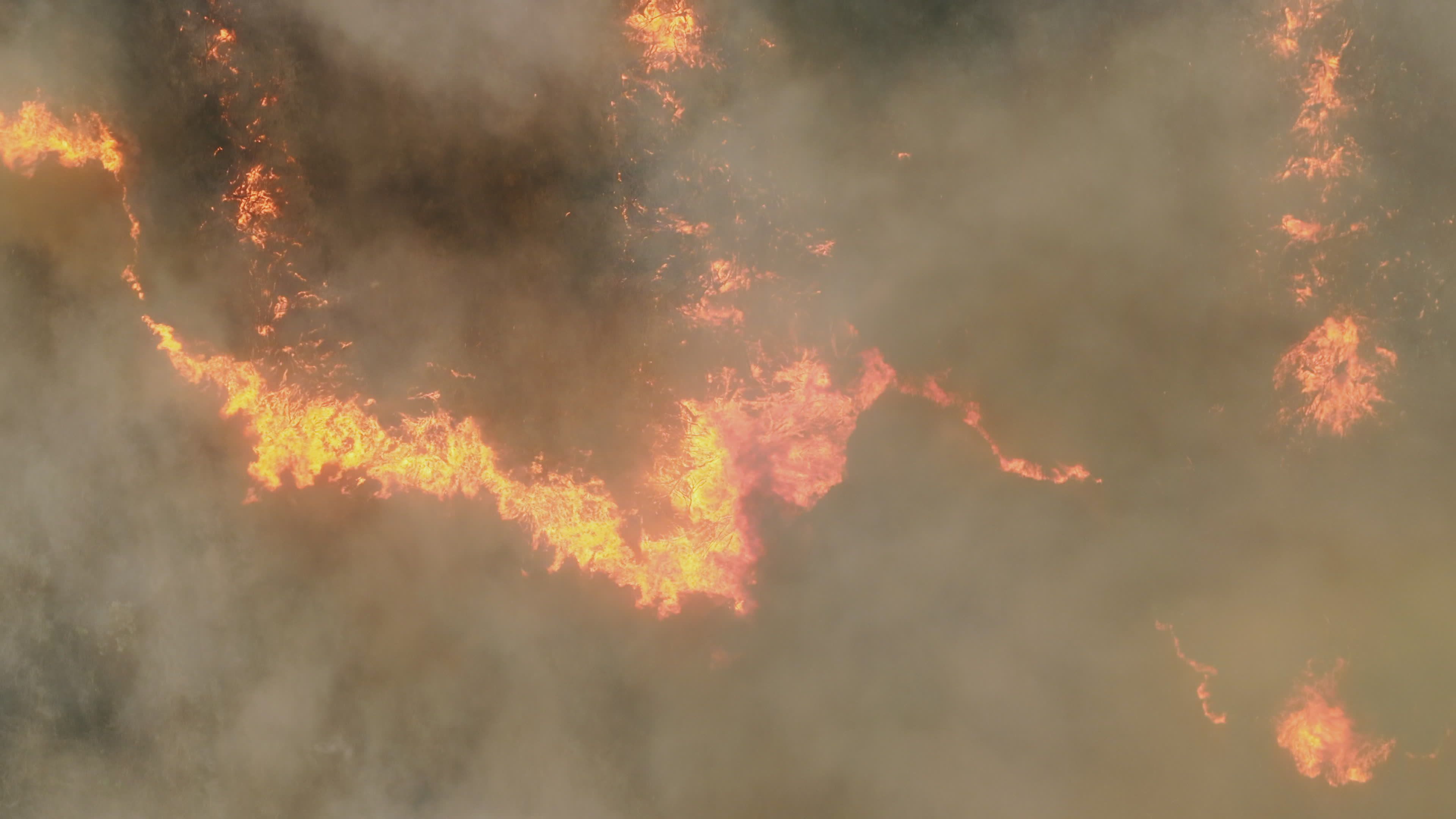 The Line Fire Free Stock Video Footage, Royalty-Free 4K & HD Video Clip
