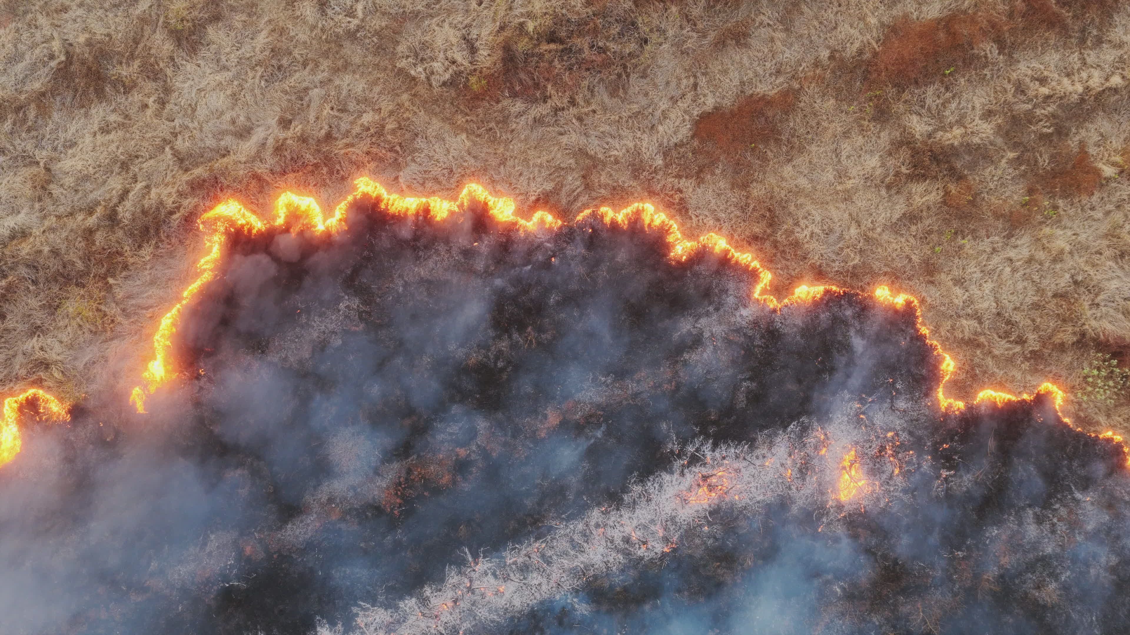 Aerial View of a Spreading Wildfire Free Stock Video Footage, Royalty ...