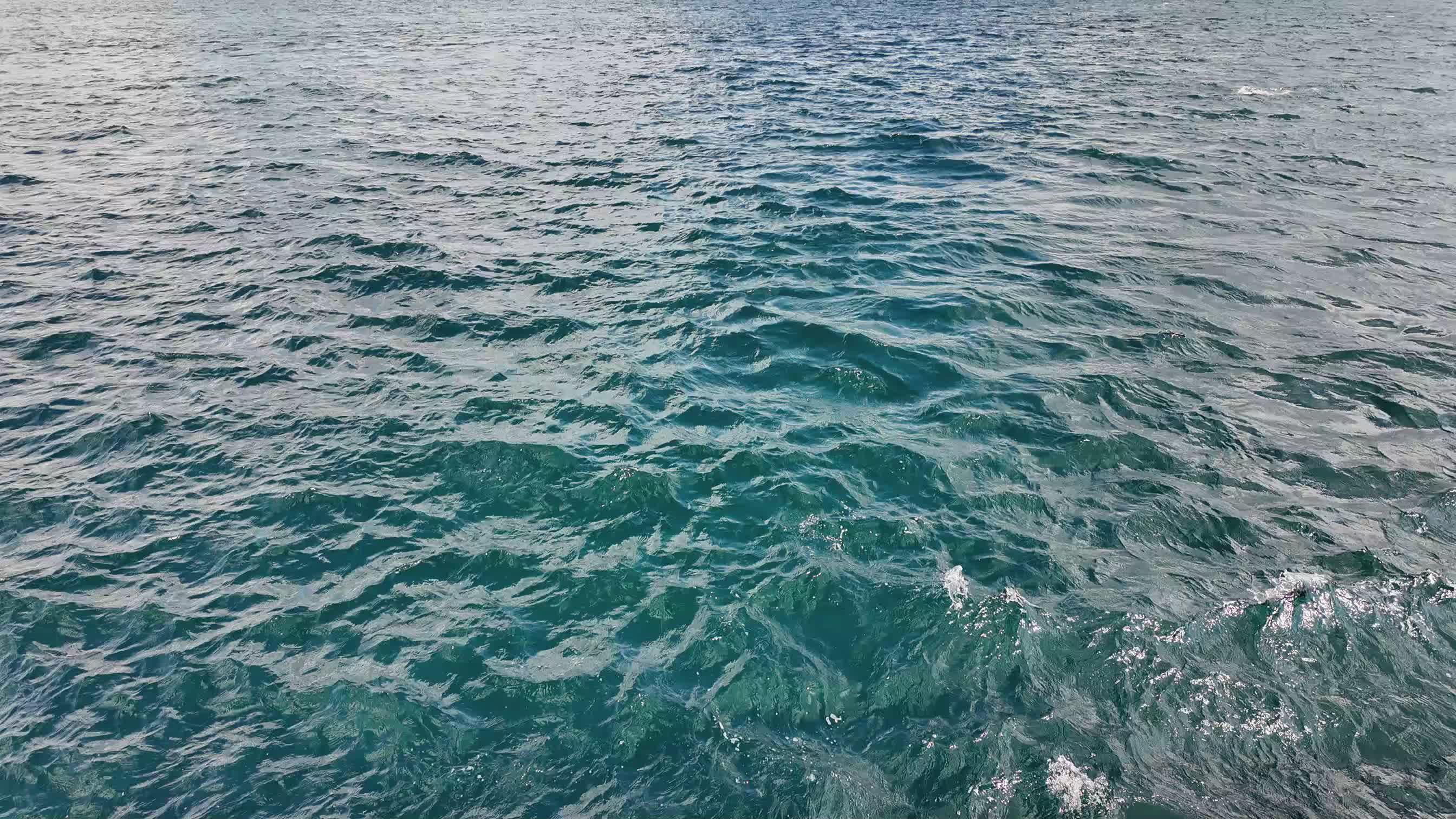 Calm Ocean Waves Lapping at the Surface Free Stock Video Footage ...