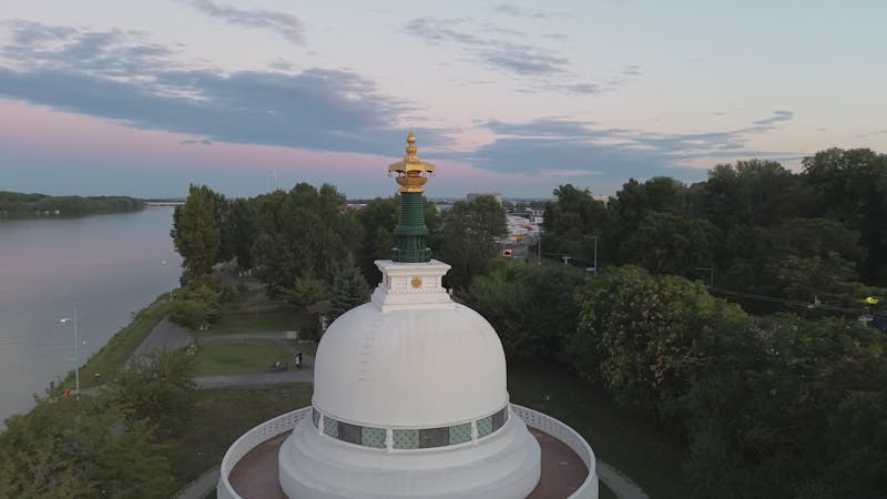 Mature+Japanese+Woman+Giving+A+Hand+Job Videos, Download The BEST Free 4k Stock Video Footage ...