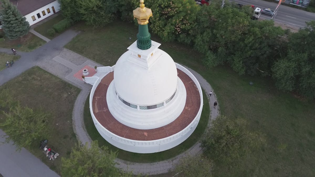 Woman+Pooping+On+Toilet Videos, Download The BEST Free 4k Stock Video ...