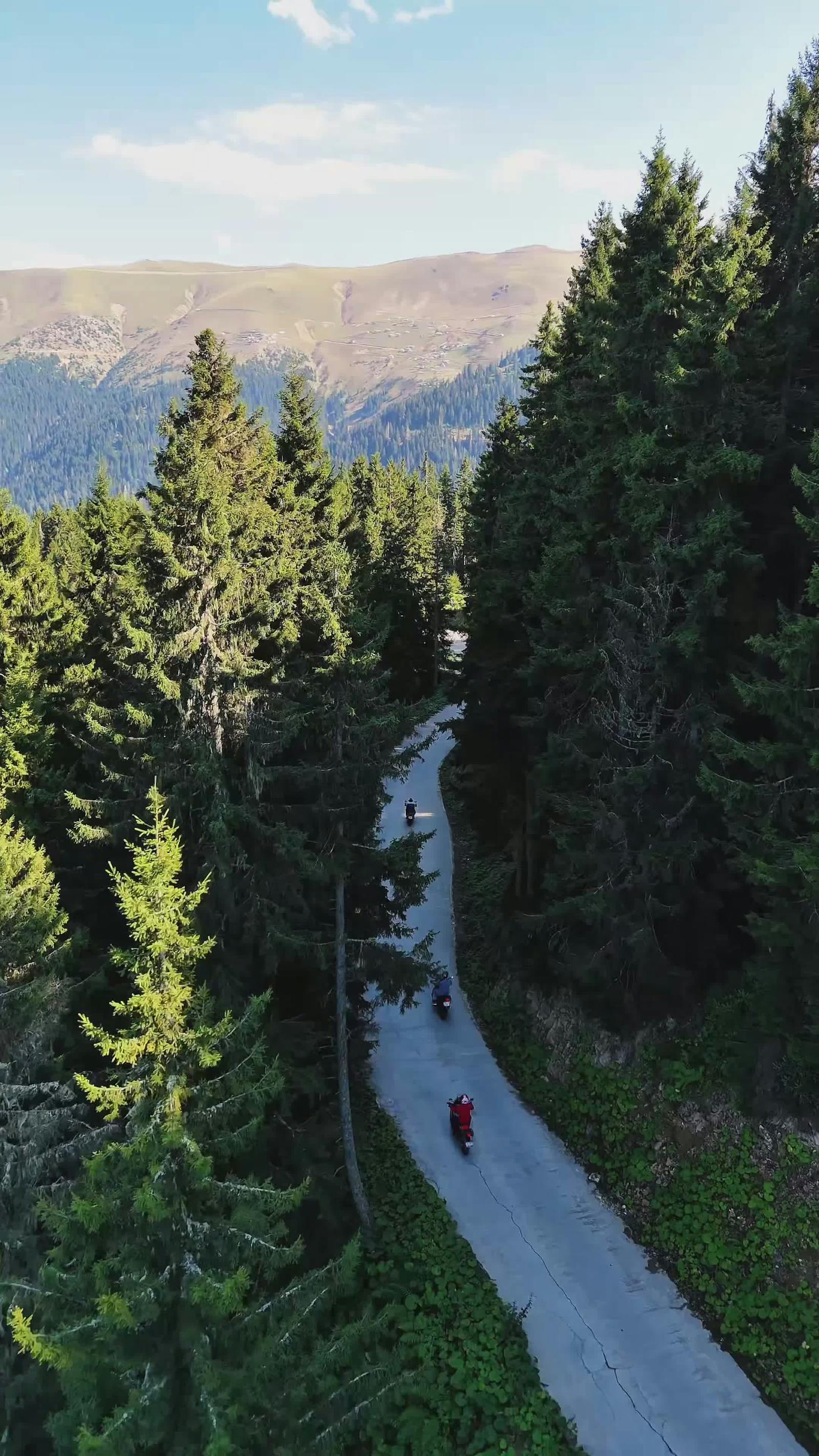 Rainbow+Kiss+Video Videos, Download The BEST Free 4k Stock Video ...