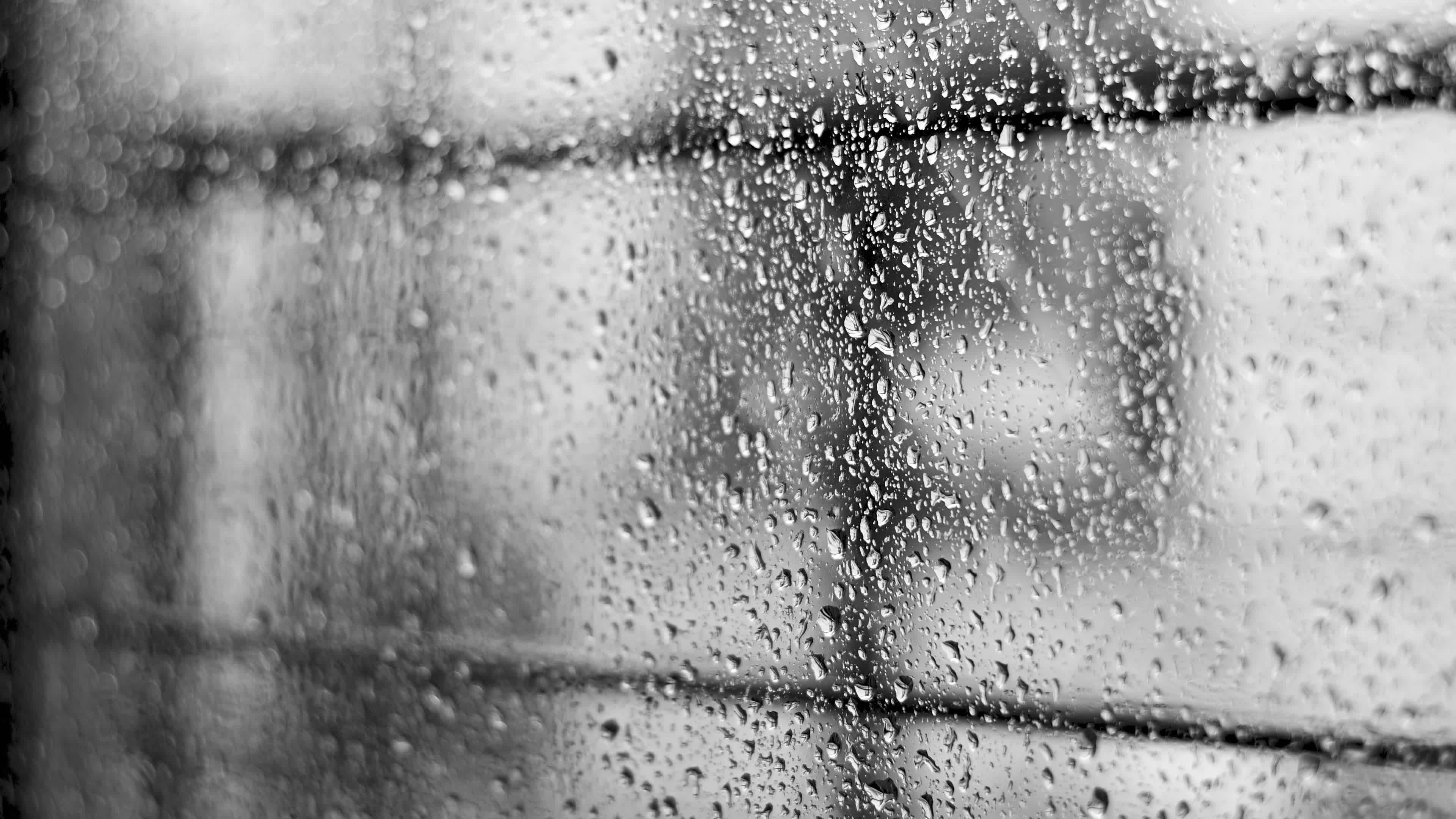 Short Video Videos, Download The BEST Free 4k Stock Video Footage ...