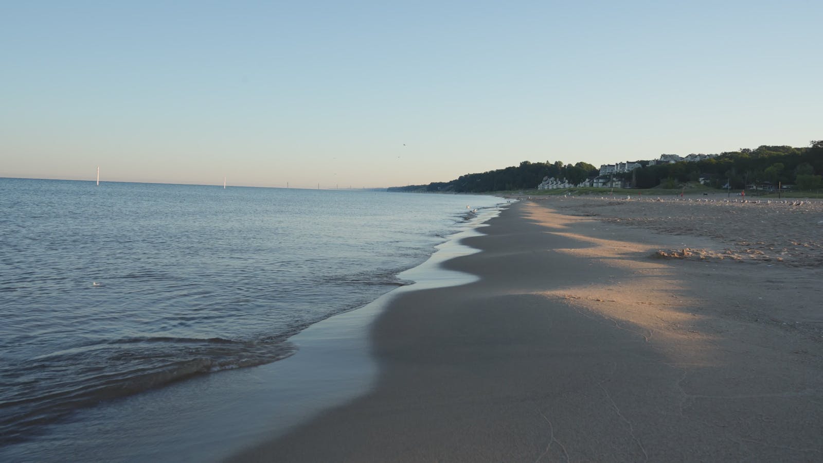 Fully+Clothed+Golden+Showers Videos, Download The BEST Free 4k Stock Video Footage & Fully ...