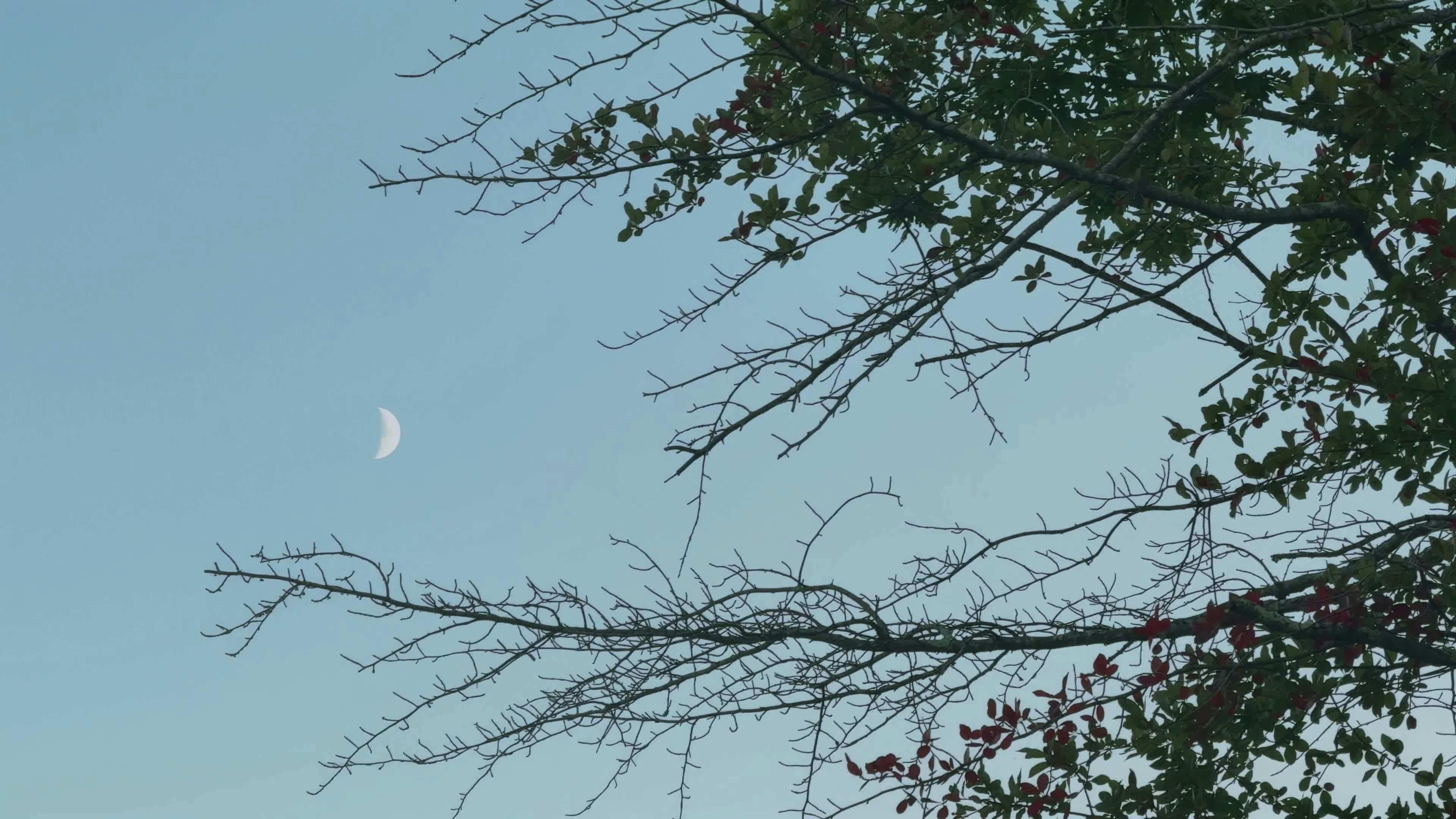 Aesthetic Minimalist Videos, Download The BEST Free 4k Stock Video ...