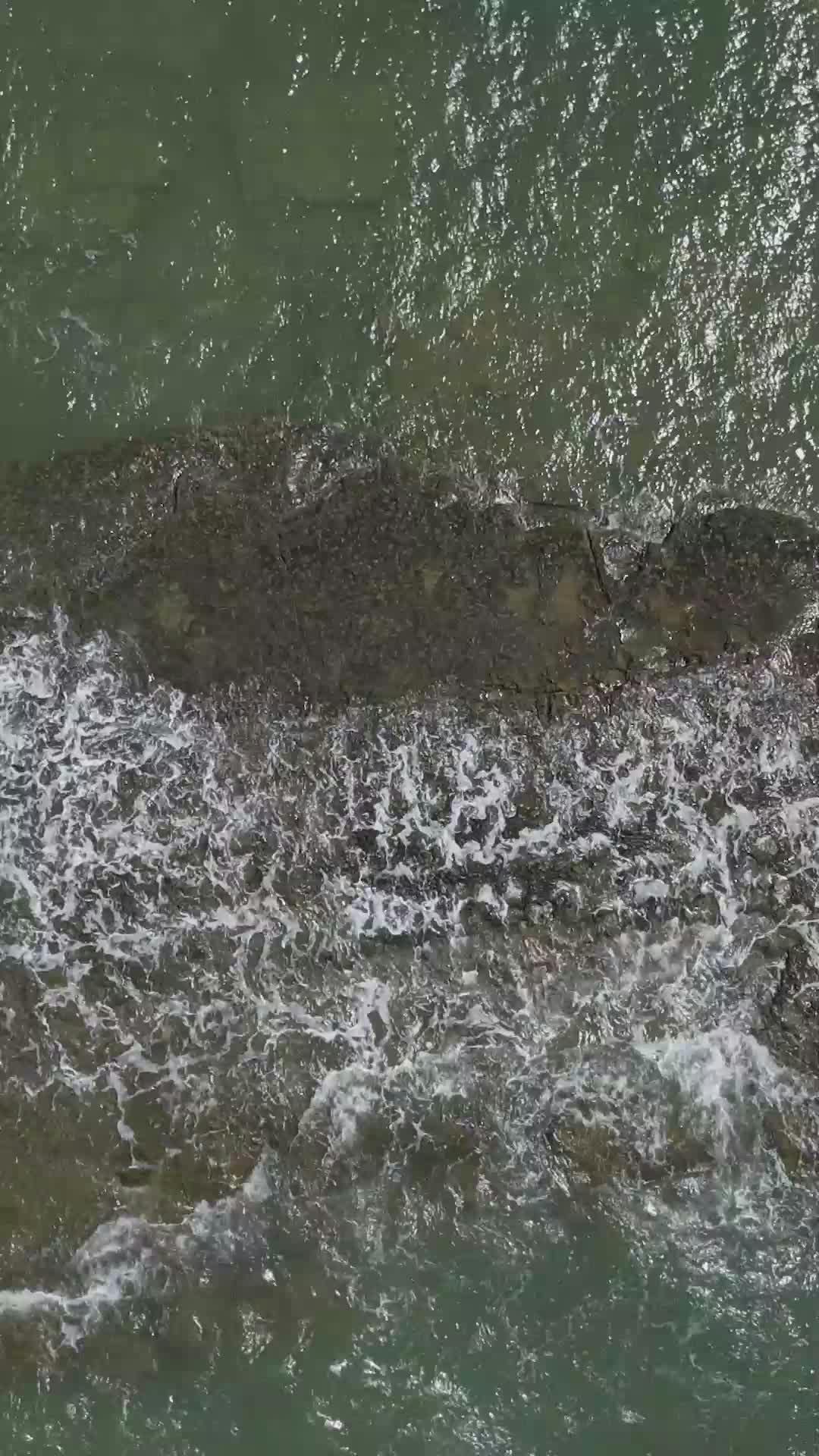 Hd+Intro Videos, Download The BEST Free 4k Stock Video Footage & Hd ...