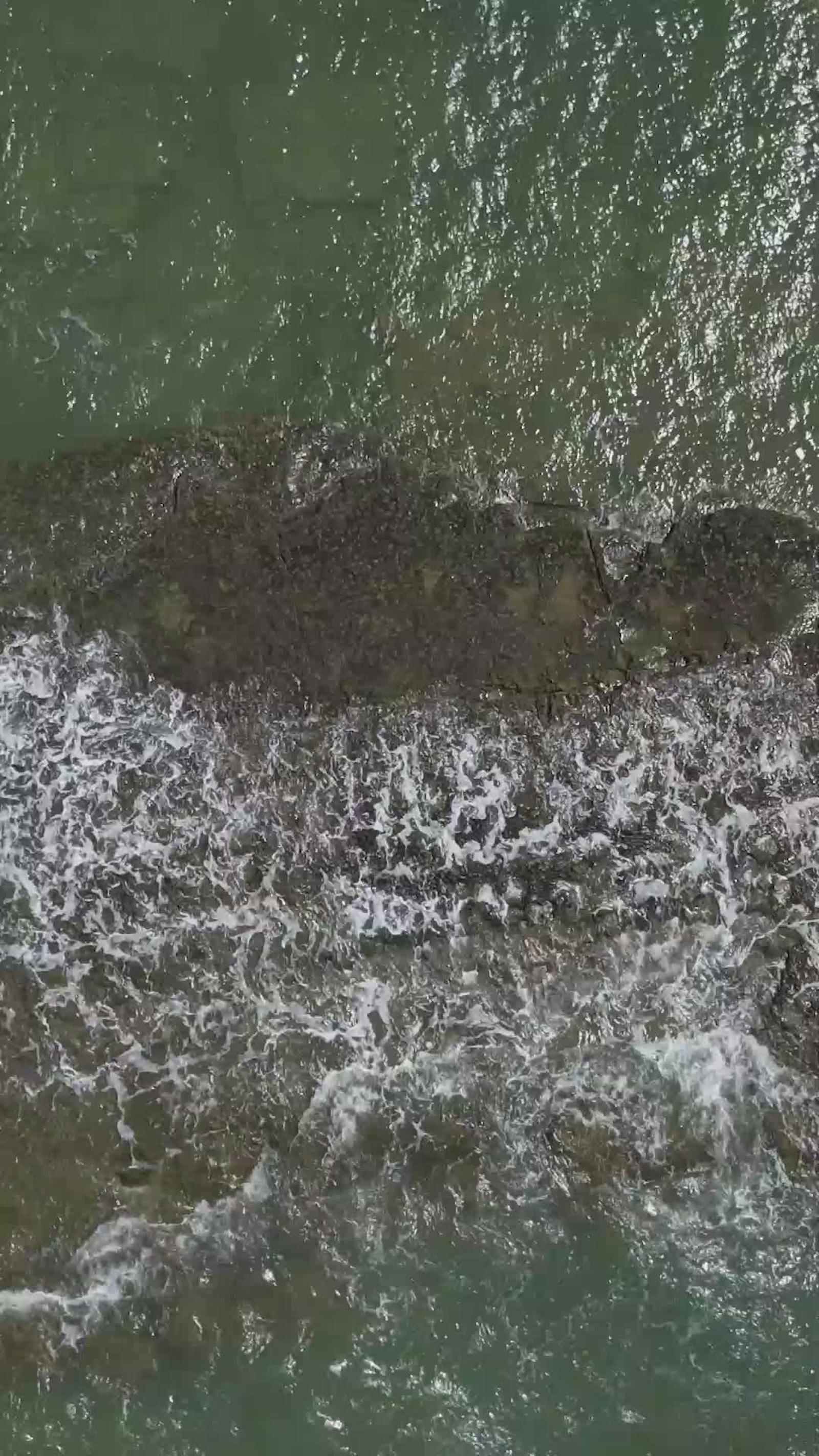 X+Hd Videos, Download The BEST Free 4k Stock Video Footage & X+Hd HD Video Clips