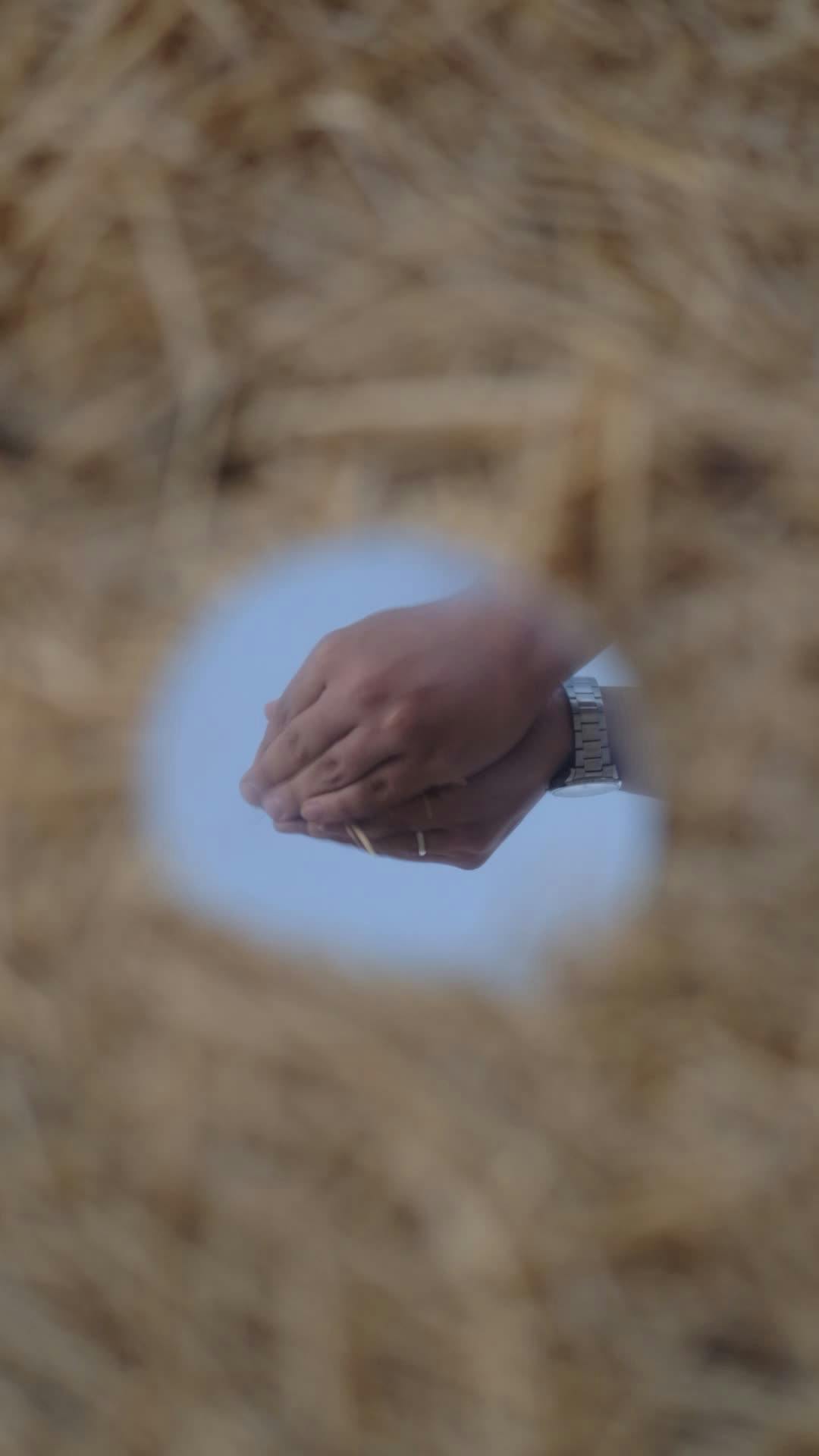 Wrong+Hole+Accidental+Anal Videos, Download The BEST Free 4k Stock Video Footage & Wrong+Hole ...