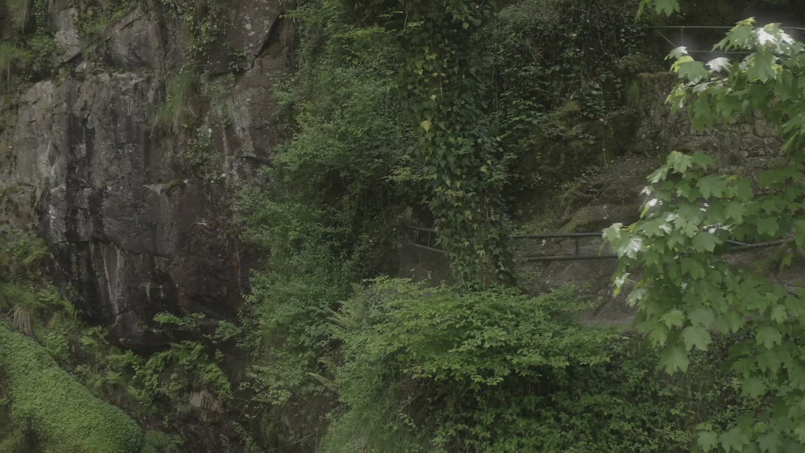 Sexy+Russian+Women Videos, Download The BEST Free 4k Stock Video Footage & Sexy+Russian+Women HD ...