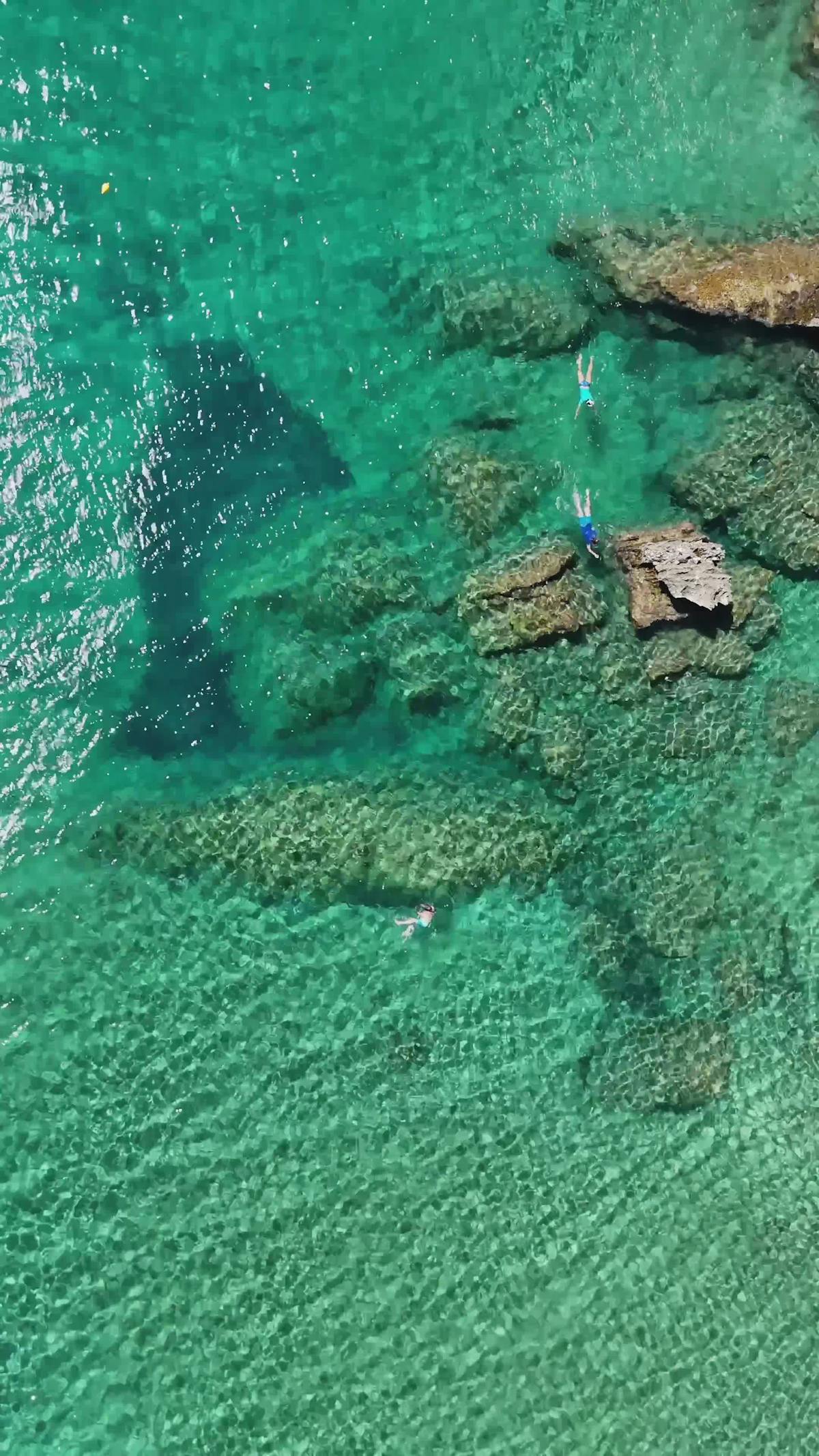 Pixabay Videos, Download The BEST Free 4k Stock Video Footage & Pixabay ...