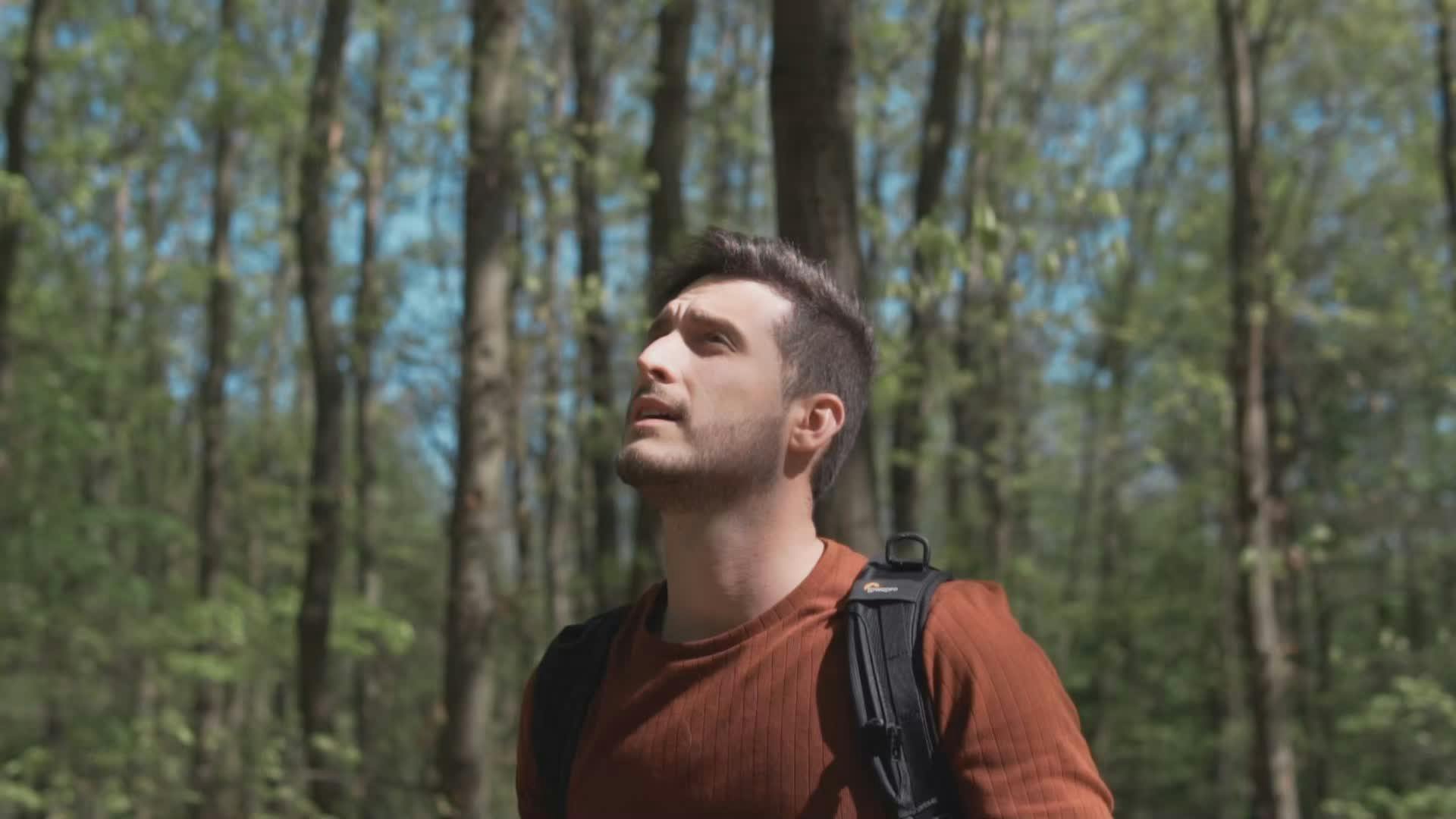 Young Man Hiking Through Lush Forest Free Stock Video Footage, Royalty ...