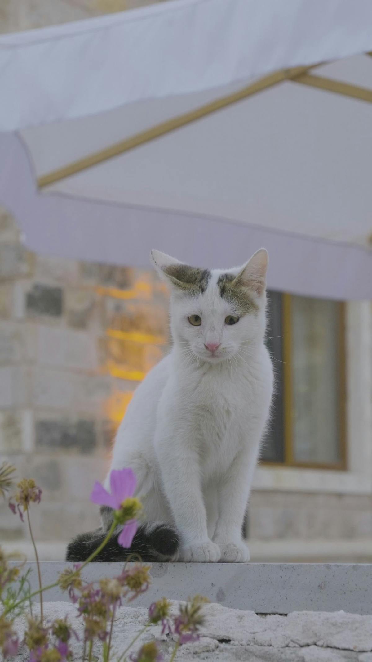 Xxxxx+Hd+Hindi+Video Videos, Download The BEST Free 4k Stock Video ...