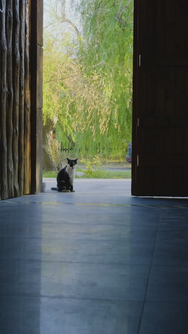 Xxxxx+Hd+Hindi+Video Videos, Download The BEST Free 4k Stock Video Footage & Xxxxx+Hd+Hindi ...