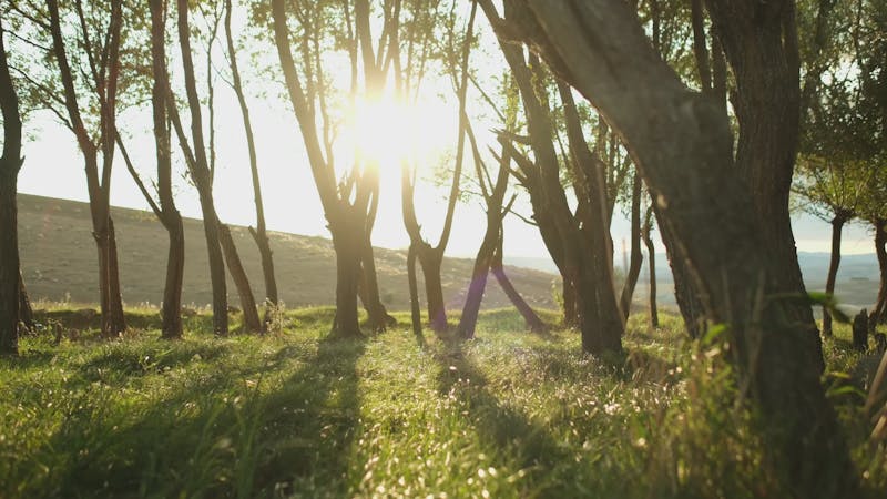 Amateur+Golden+Shower Videos, Download The BEST Free 4k Stock Video Footage & Amateur+Golden ...