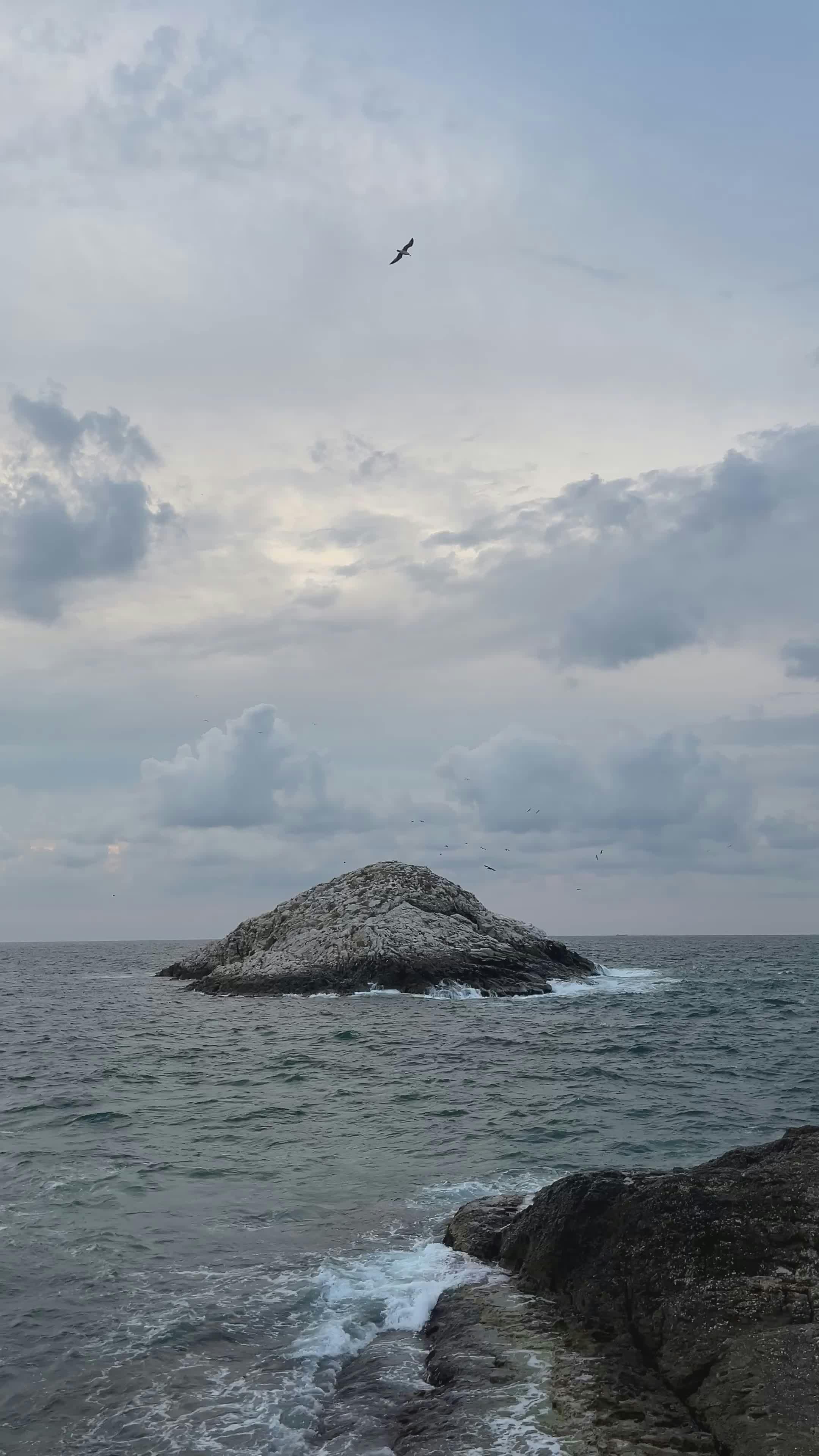 Delete Photo Videos, Download The BEST Free 4k Stock Video Footage ...