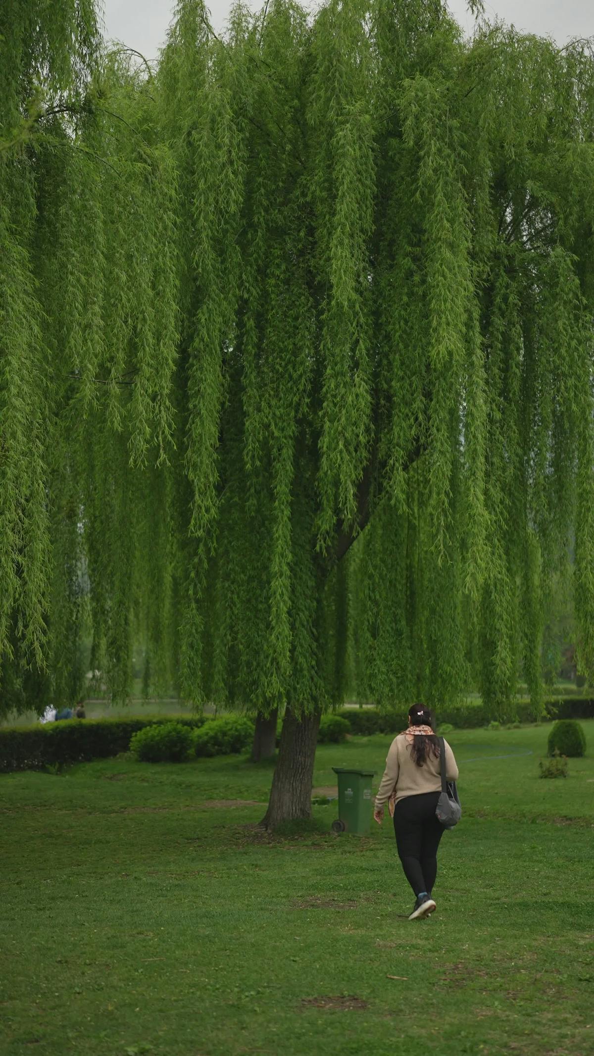 Hindi+Bf+Sexy+Rajasthani+Bf+Full+Hd+Video Videos, Download The BEST Free 4k Stock Video Footage ...