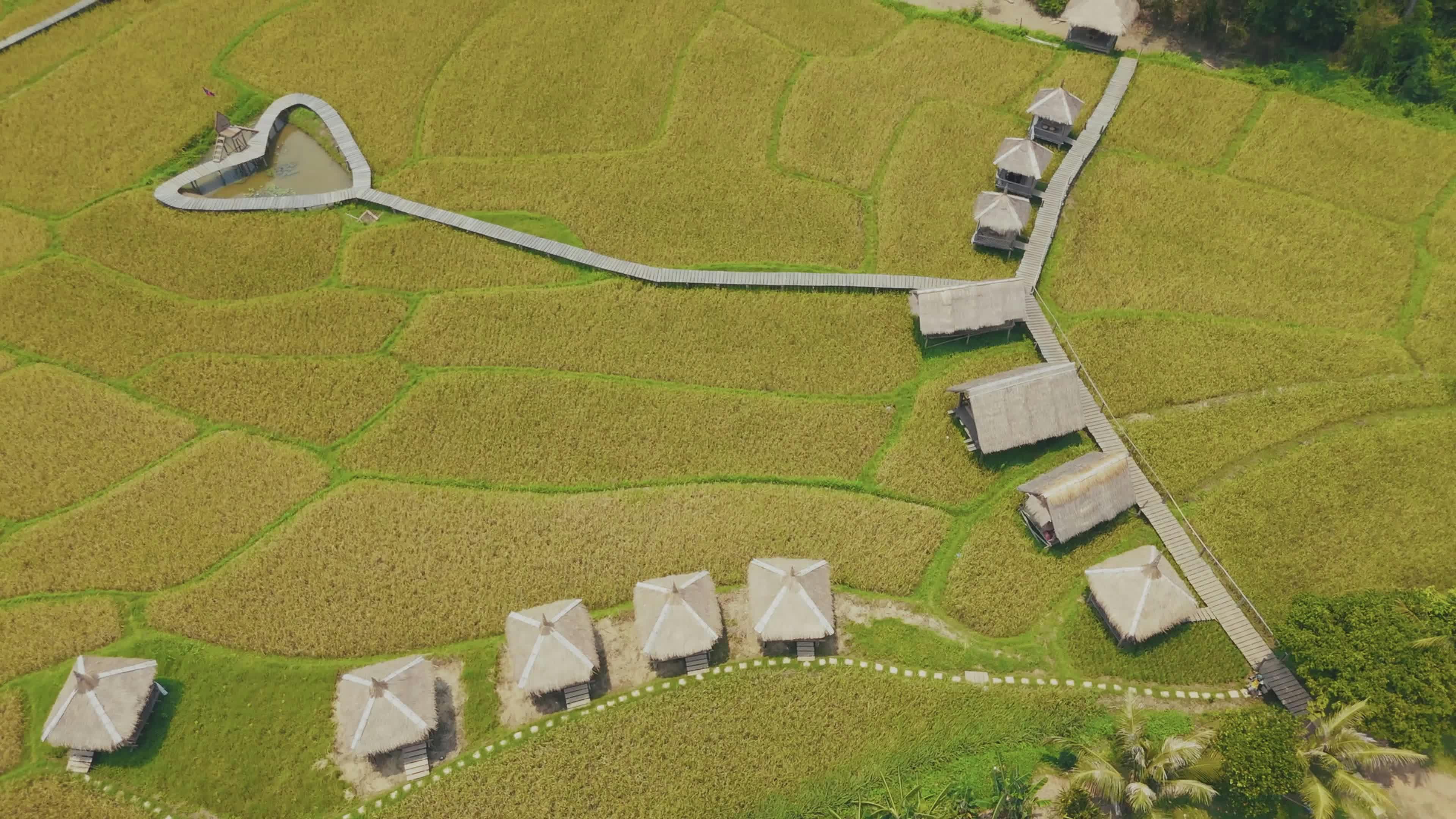 Serene Aerial View of Lao Village Huts Free Stock Video Footage ...