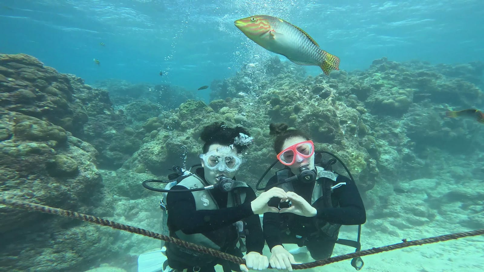 Couples+Having+Intercourse Videos, Download The BEST Free 4k Stock ...