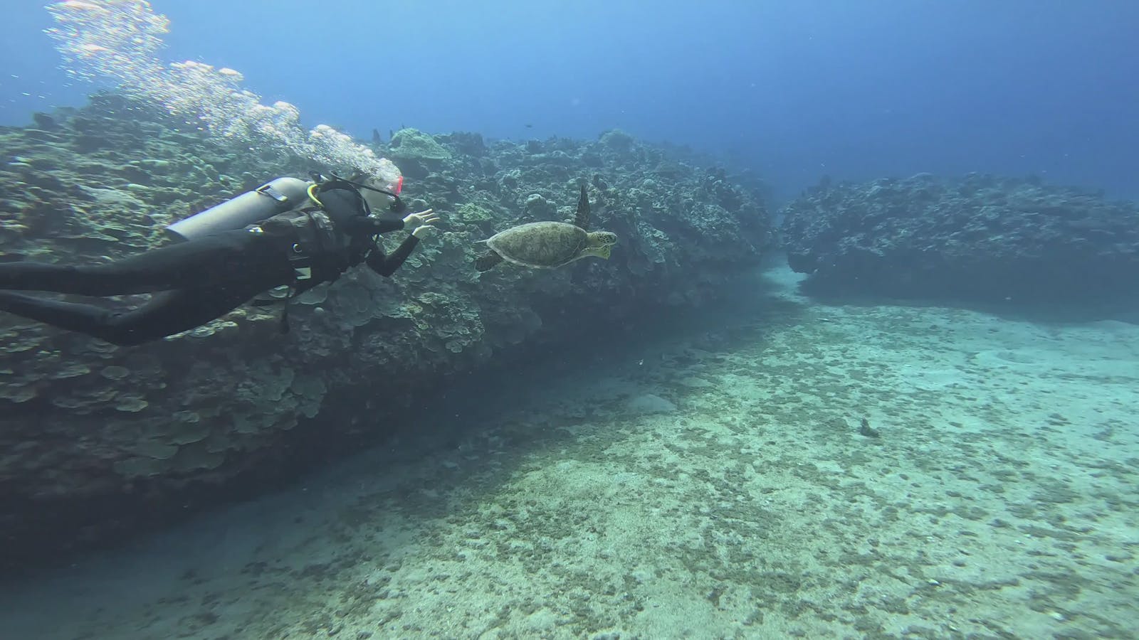 Rubi+Rose+Twerk+Compilation Videos, Download The BEST Free 4k Stock Video Footage & Rubi+Rose ...