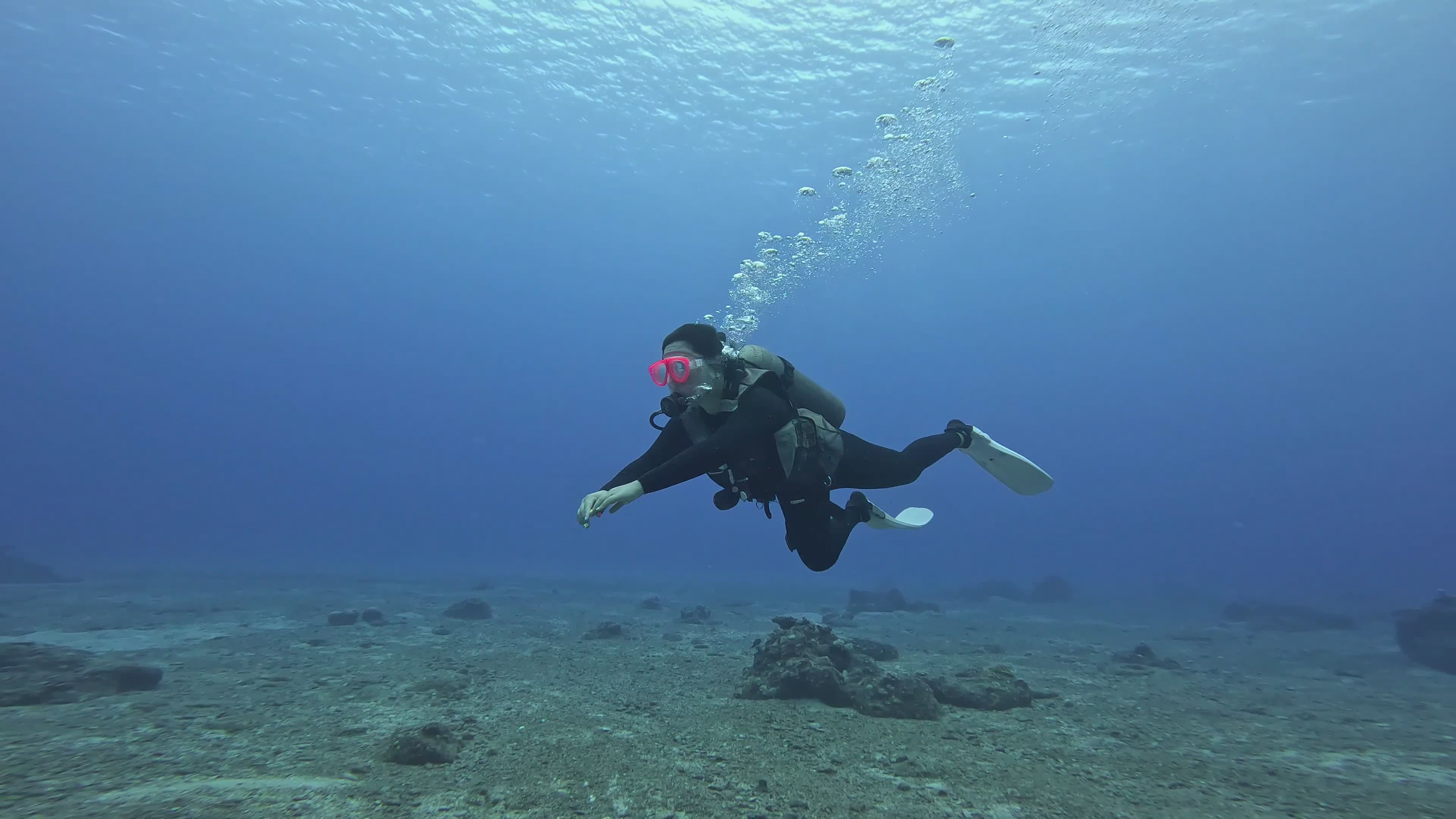 Scuba Diver Exploring Ocean Floor Serenity Free Stock Video Footage ...
