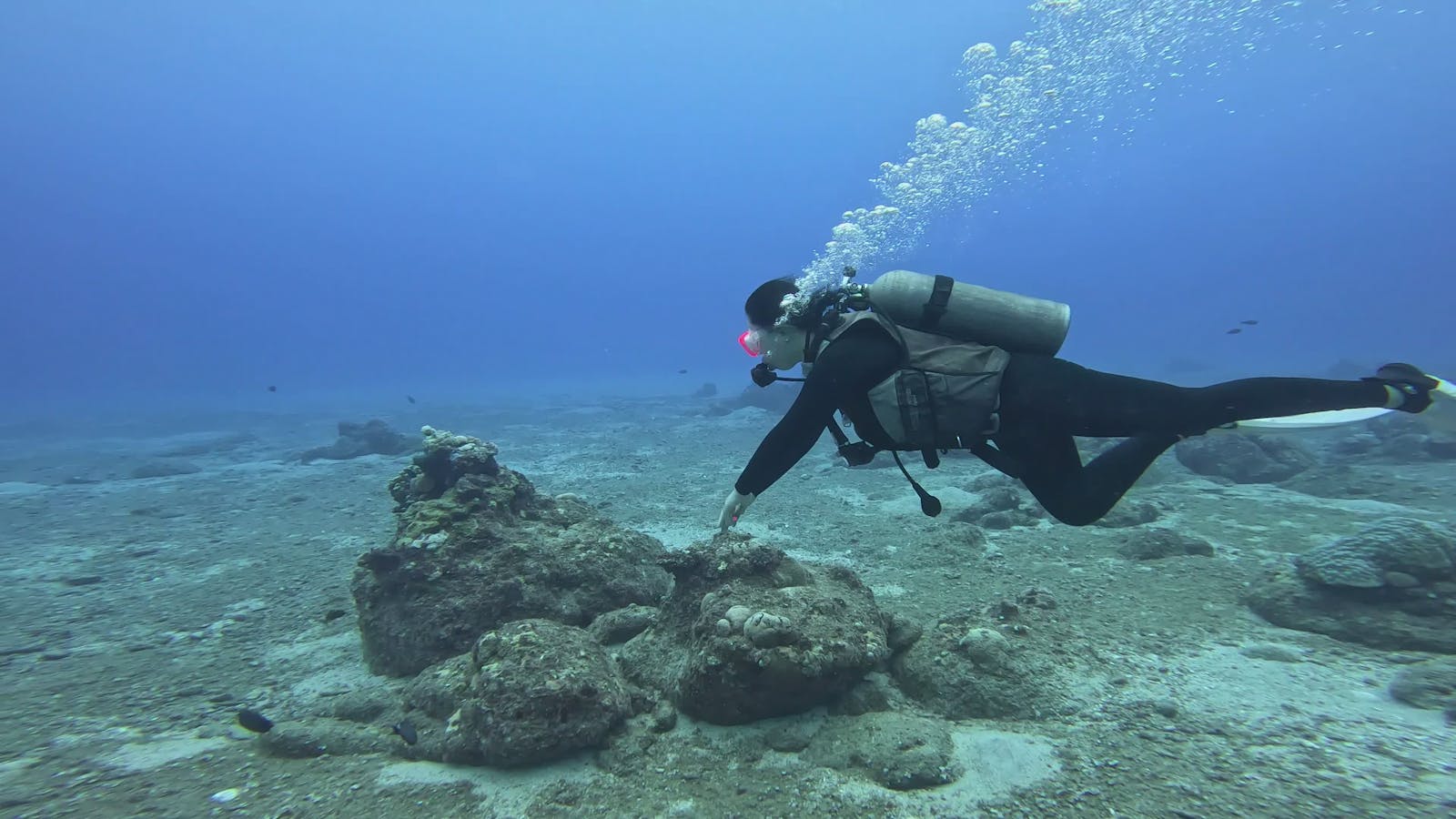 Yololary+Taking+Off+Her+Spider+Man+Suit Videos, Download The BEST Free ...