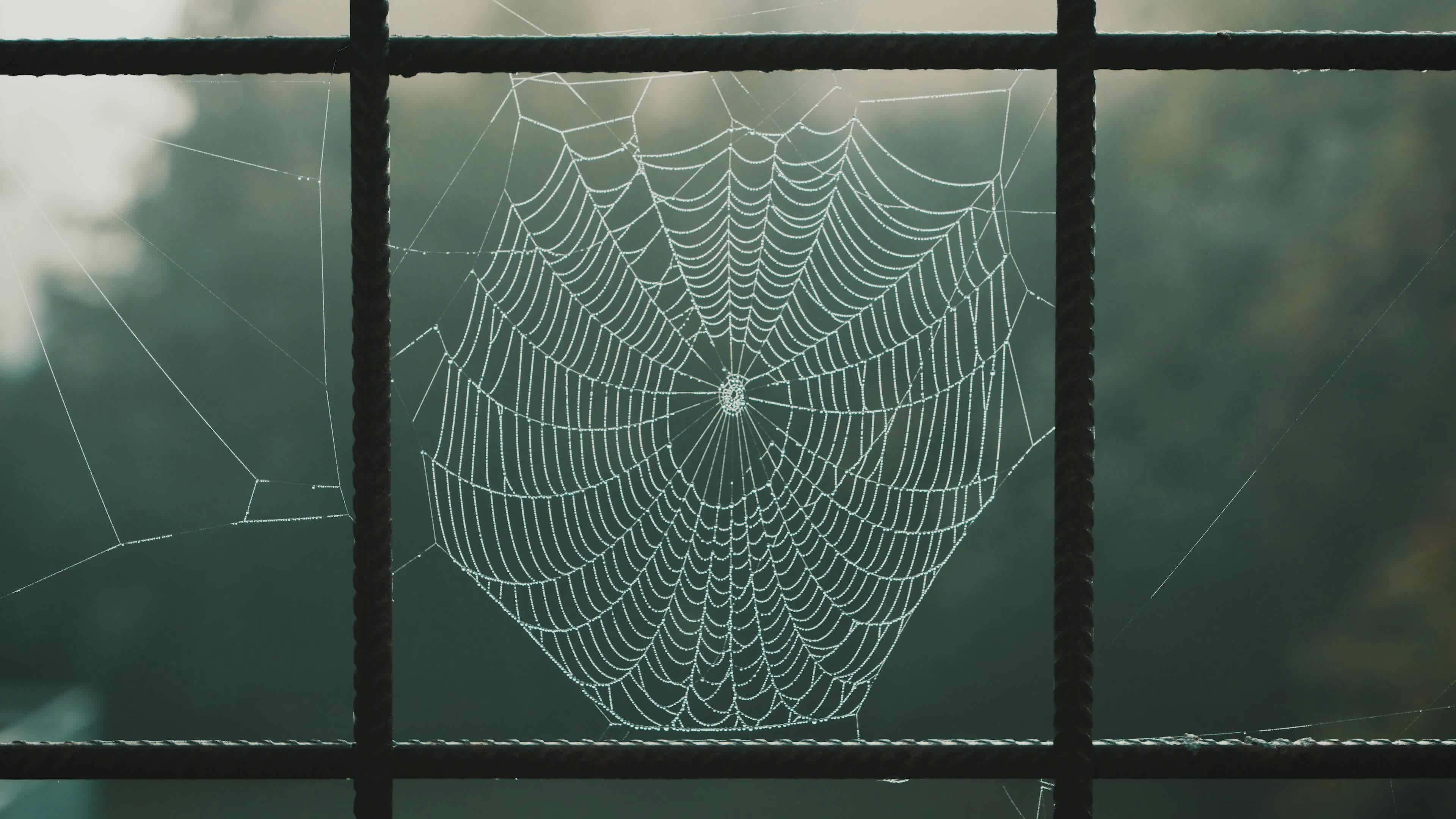 Calm Background Videos, Download The BEST Free 4k Stock Video Footage ...