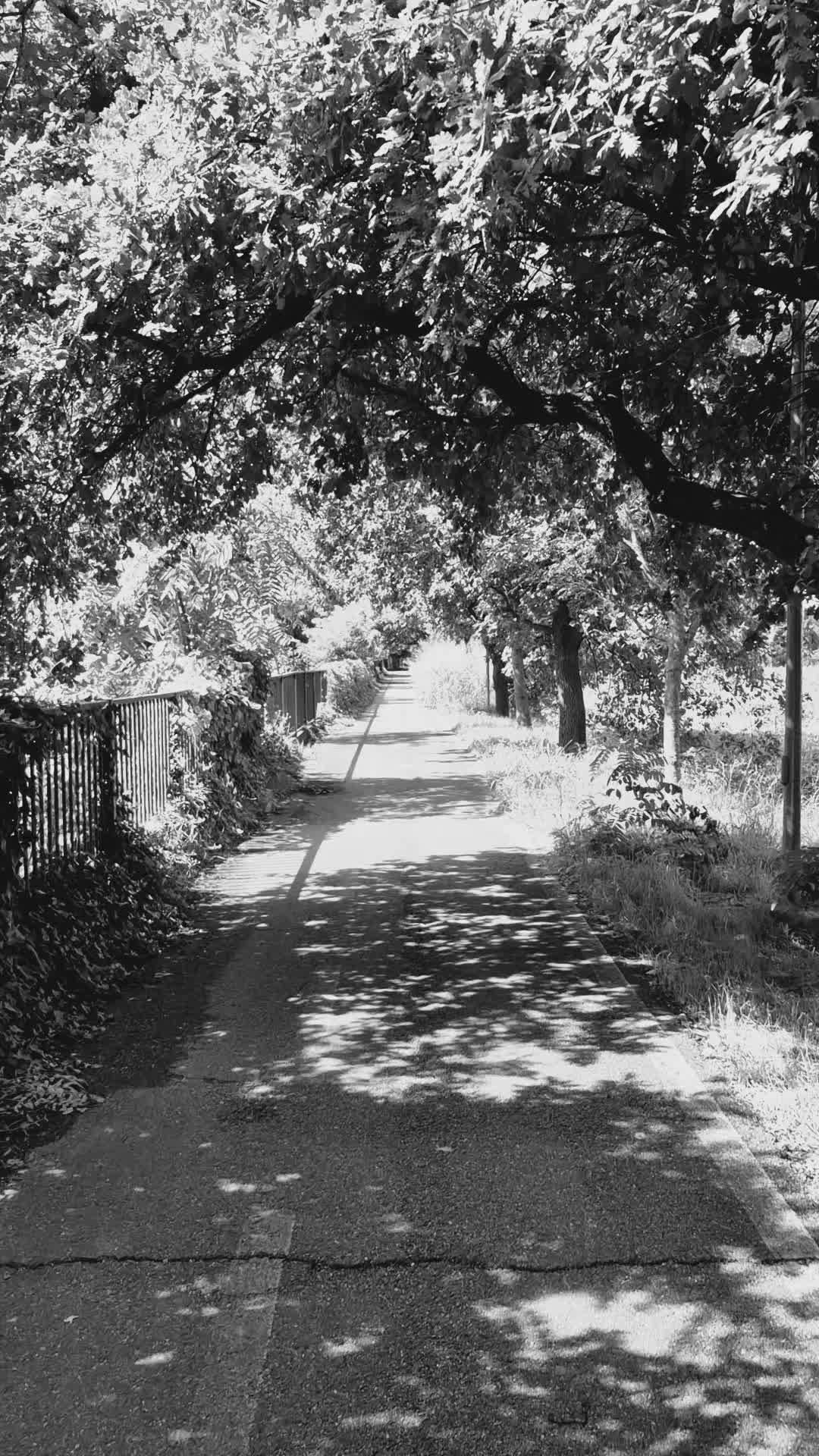 Black+Lesbians Videos, Download The BEST Free 4k Stock Video Footage ...