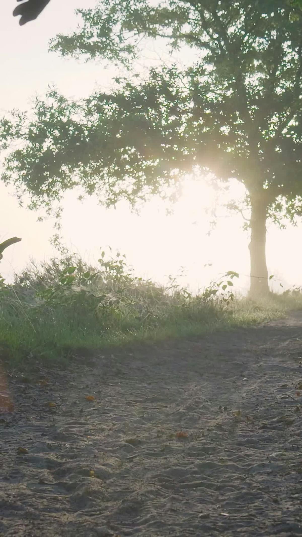 Scene Videos, Download The BEST Free 4k Stock Video Footage & Scene HD ...