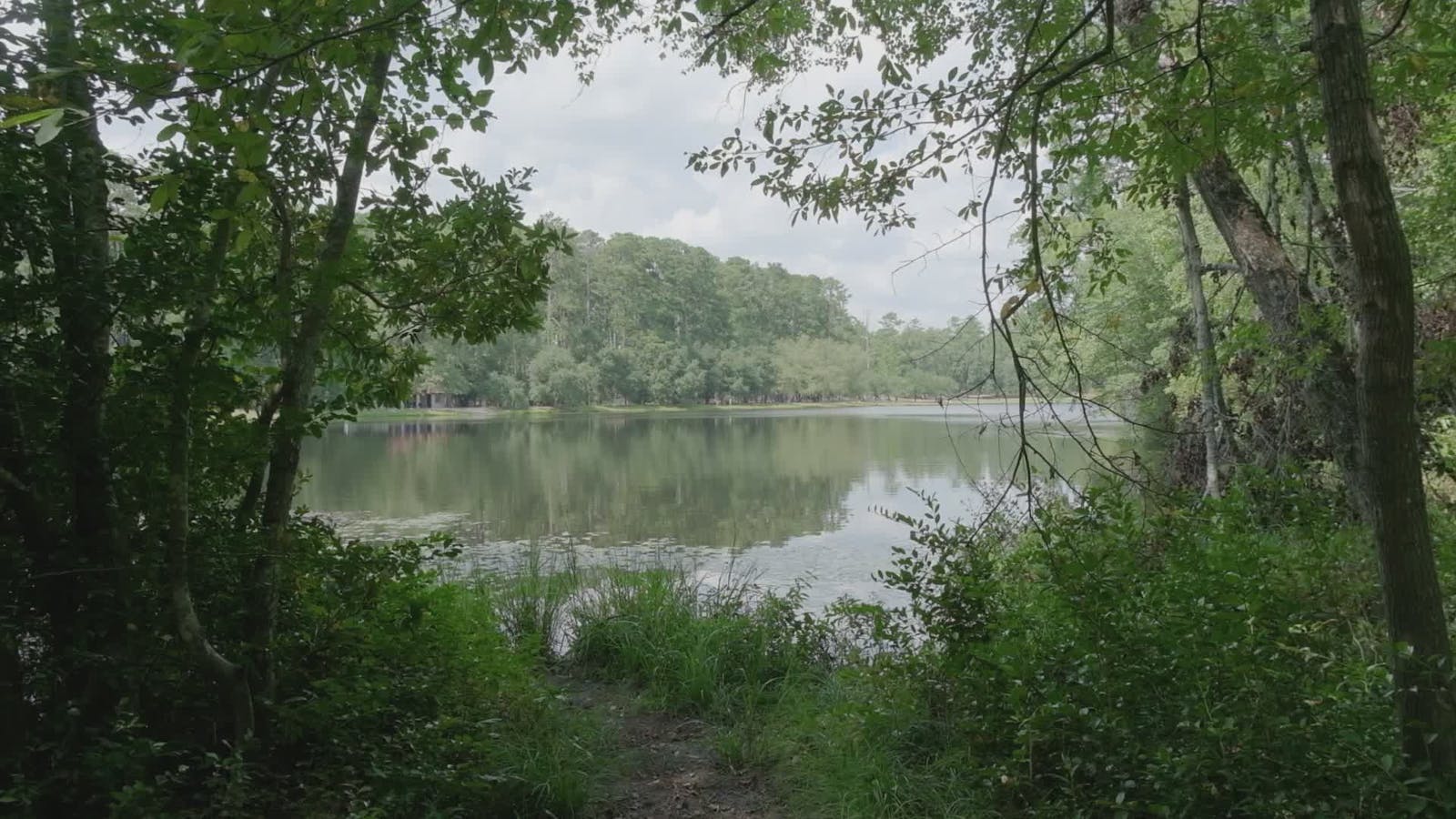 Step+Daughter+Accidently+Sees+Dad+In+The+Shower Videos, Download The BEST Free 4k Stock Video ...