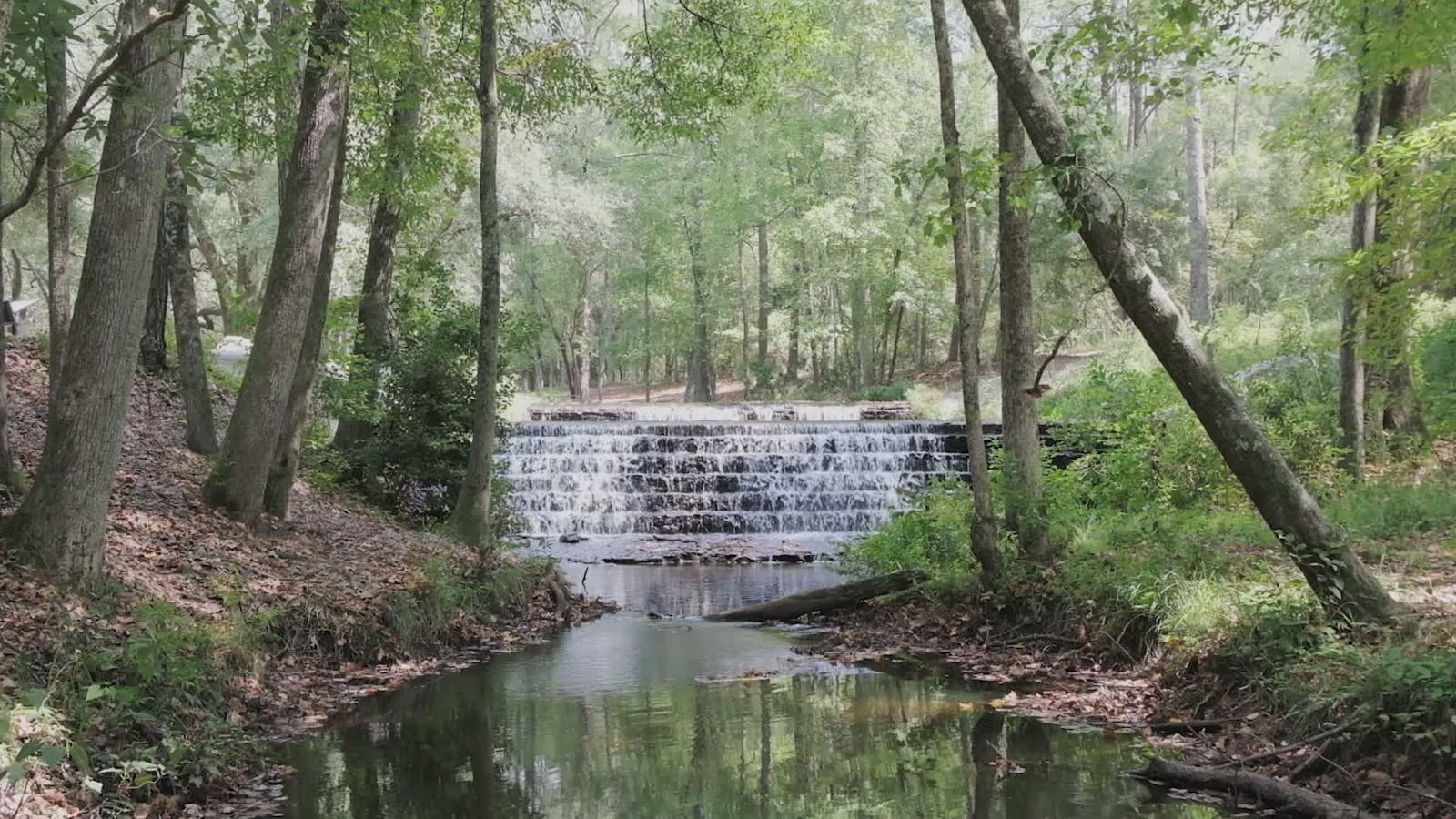 Step+Daughter+Accidently+Sees+Dad+In+The+Shower Videos, Download The BEST Free 4k Stock Video ...