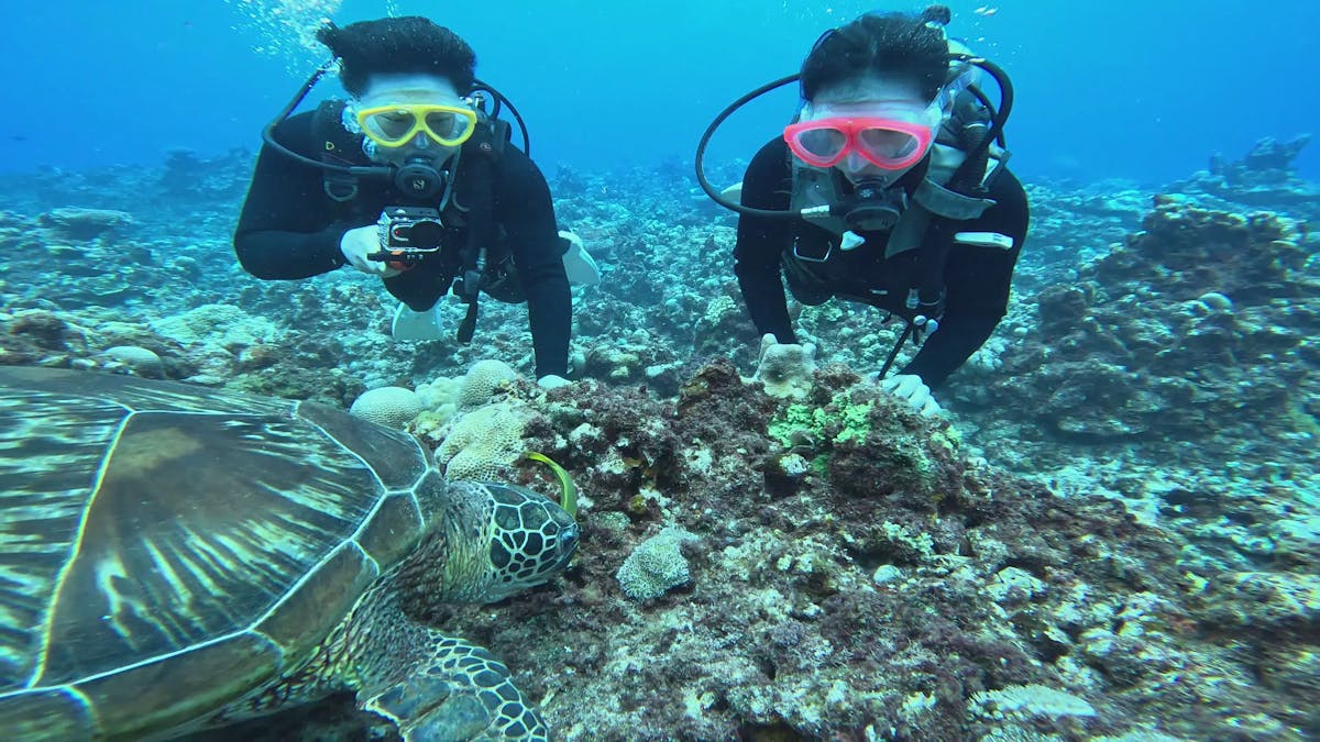 Two+Women+Licking+Each+Other Videos, Download The BEST Free 4k Stock ...