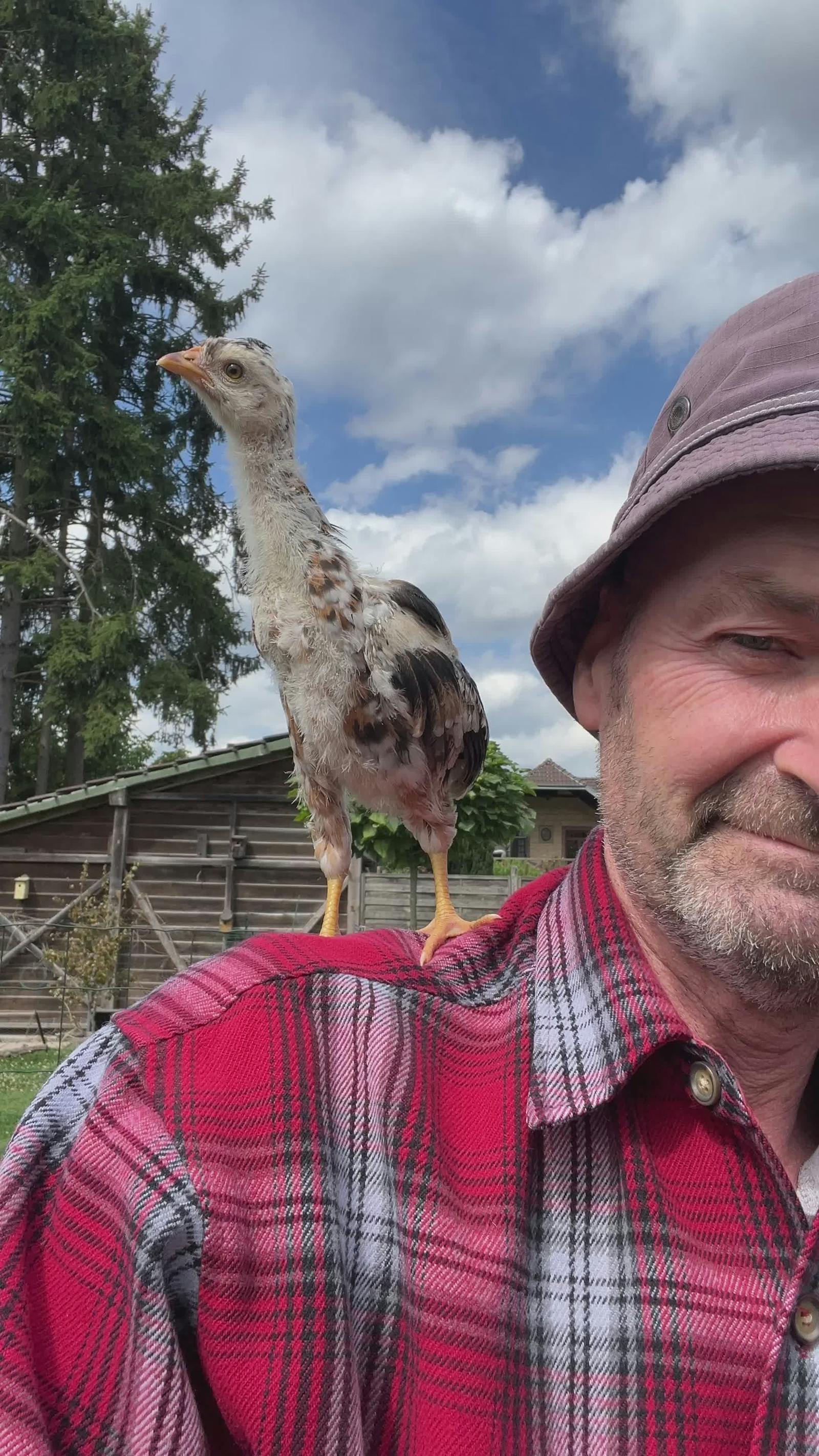 Man Twerking Videos, Download The BEST Free 4k Stock Video Footage ...