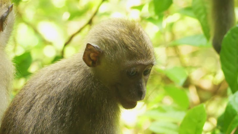 Very+Young+Lbgtq++Gay+Boy Videos, Download The BEST Free 4k Stock Video Footage & Very+Young ...