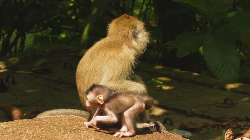 Very+Young+Lbgtq++Gay+Boy Videos, Download The BEST Free 4k Stock Video Footage & Very+Young ...