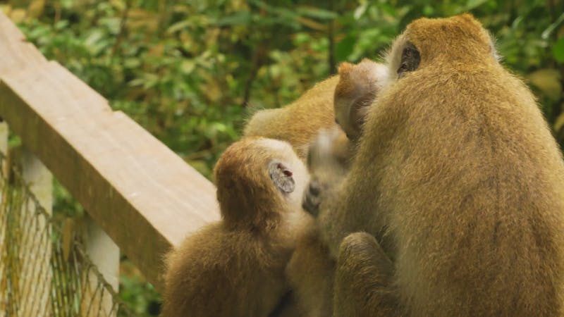 Very+Young+Lbgtq++Gay+Boy Videos, Download The BEST Free 4k Stock Video Footage & Very+Young ...