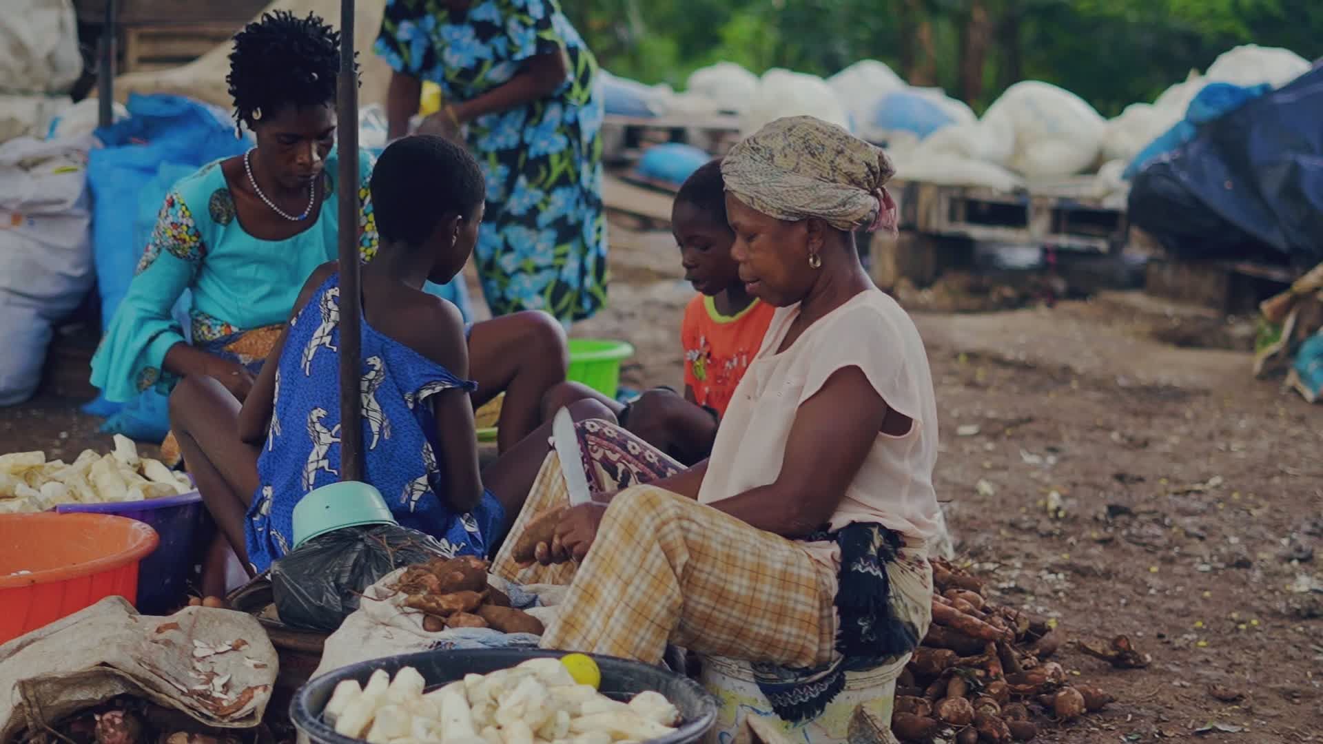 Woman Peeling Yams in Vibrant Traditional Attire Free Stock Video ...