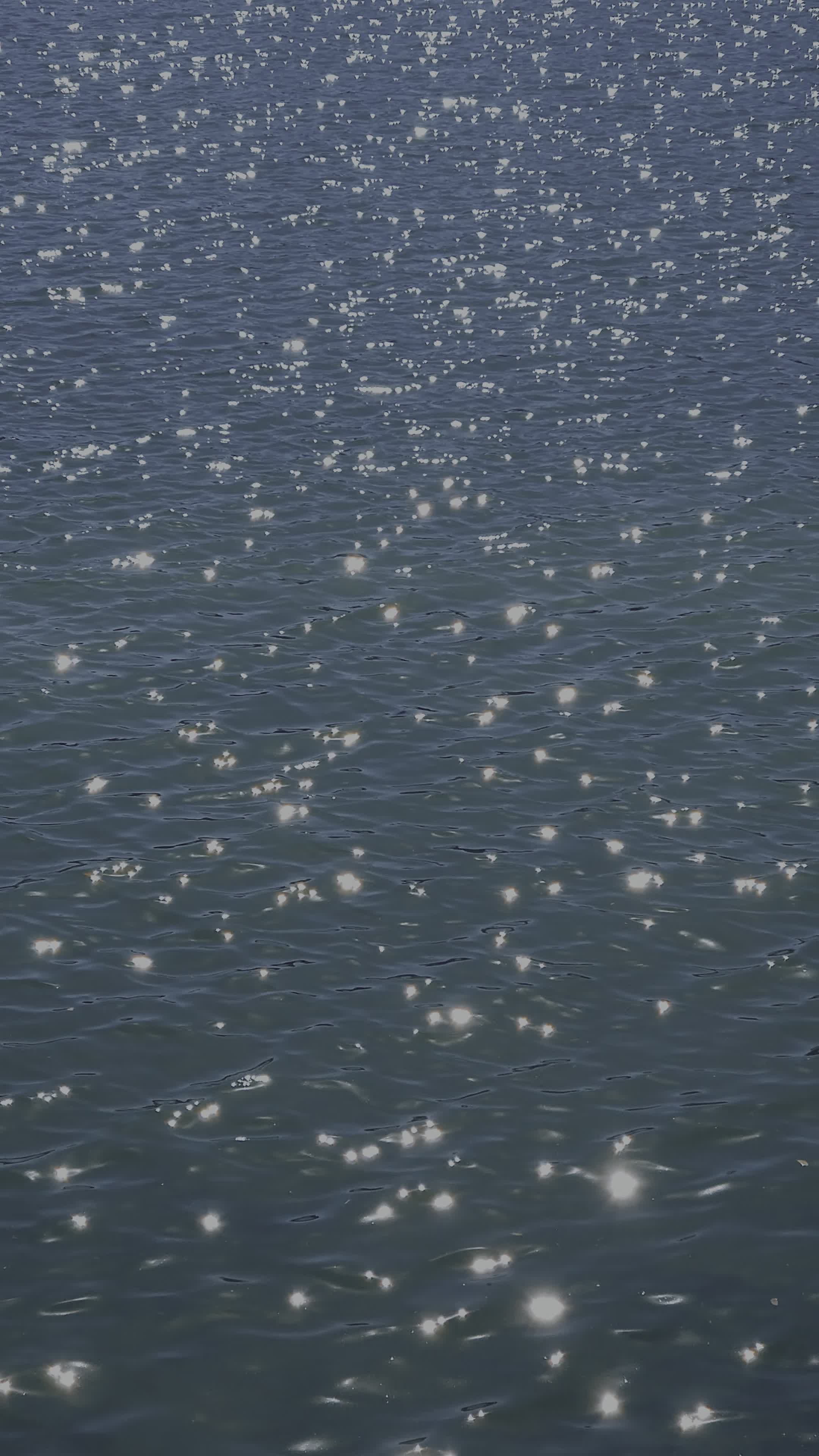 Cinematic Shimmering Water Surface Footage Free Stock Video Footage ...