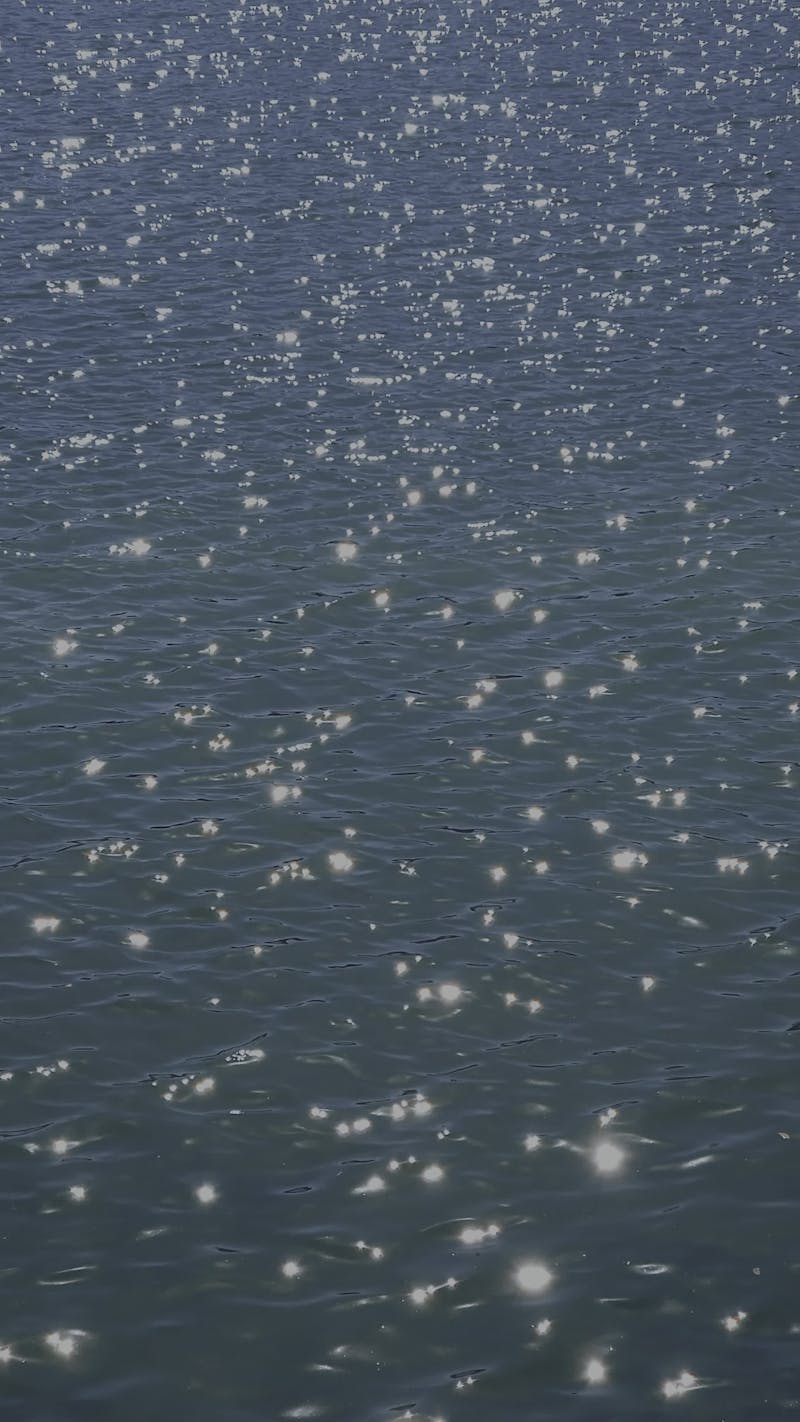 Balatkar+Scenes Videos, Download The BEST Free 4k Stock Video Footage ...