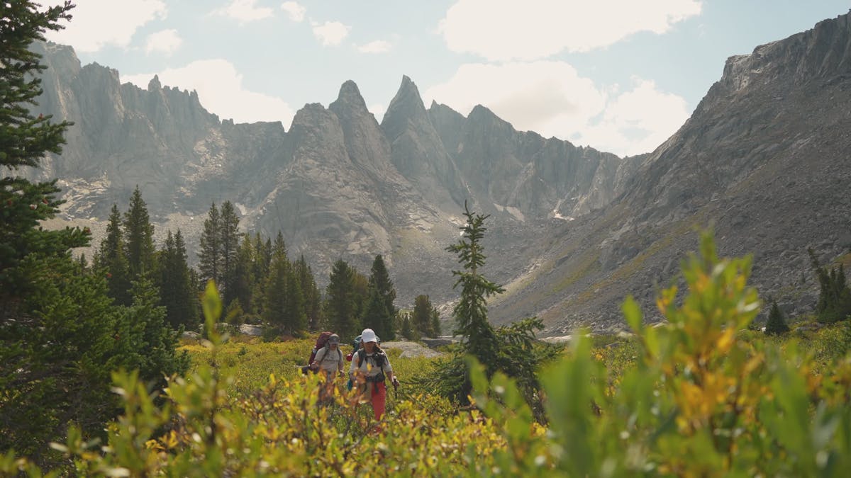 Beautiful+Girls+Xx Videos, Download The BEST Free 4k Stock Video ...