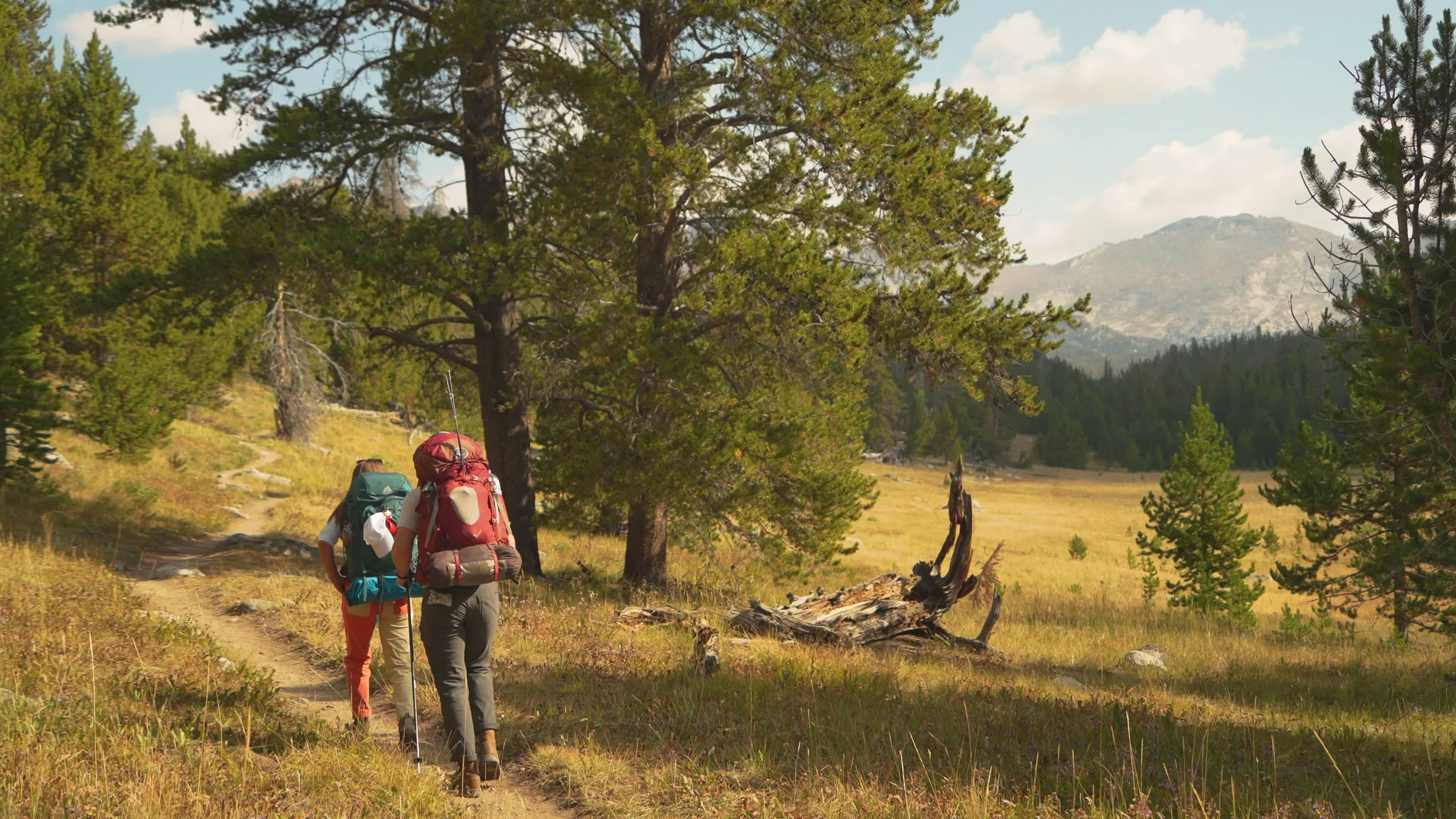 Two+Women+Licking+Each+Other Videos, Download The BEST Free 4k Stock ...