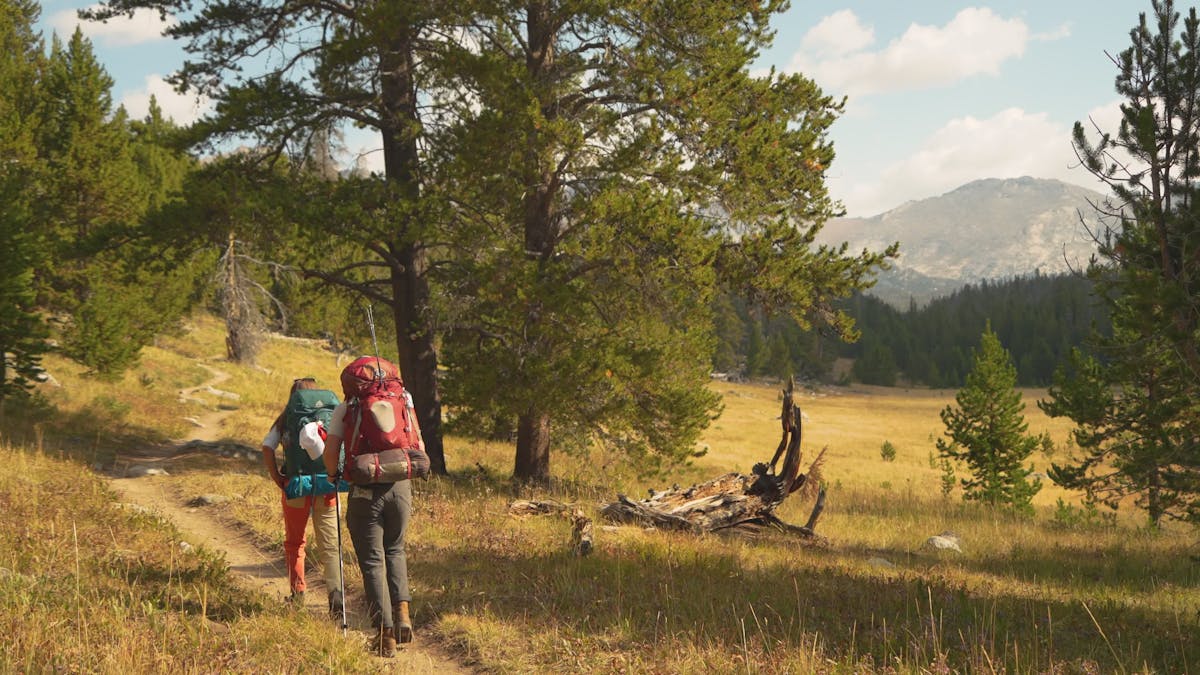 Two+Older+Women+Undress+Each+Other+Kiss+Touch Videos, Download The BEST Free 4k Stock Video ...