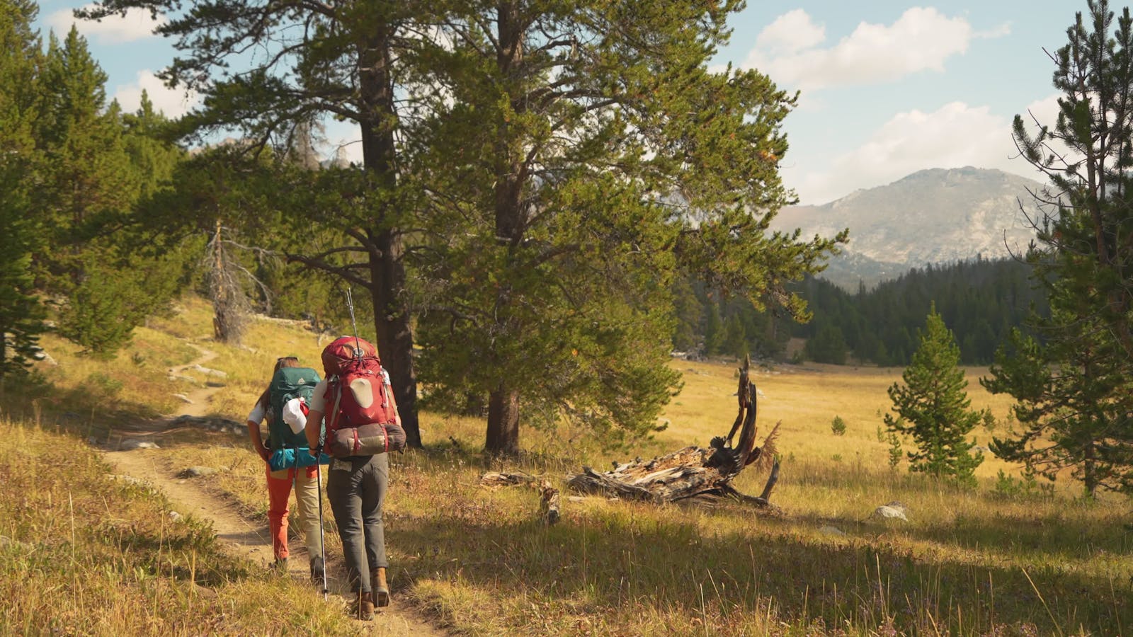 Royalty Free Videos, Download The BEST Free 4k Stock Video Footage ...