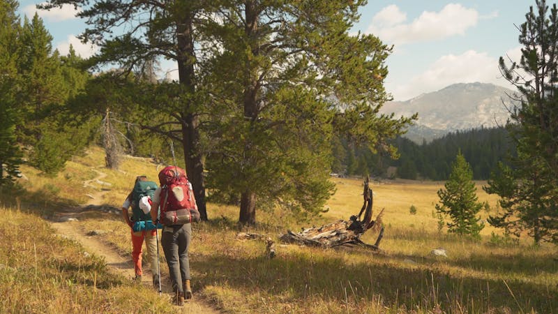 Naturist+Family+Camp+Video Videos, Download The BEST Free 4k Stock Video Footage & Naturist ...